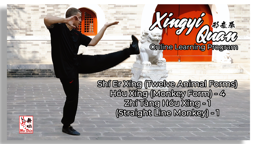 Online Learning — Mu Shin Martial Culture