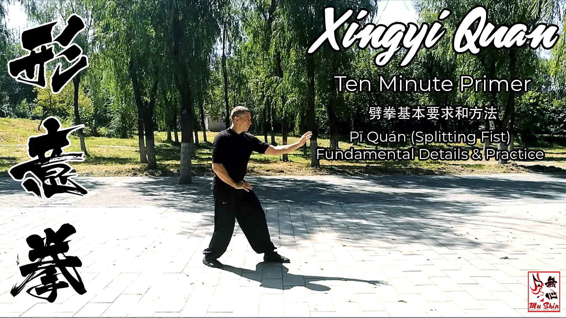 Xingyi Quans Pi Quan (Splitting Fist) — Mu Shin Martial Culture