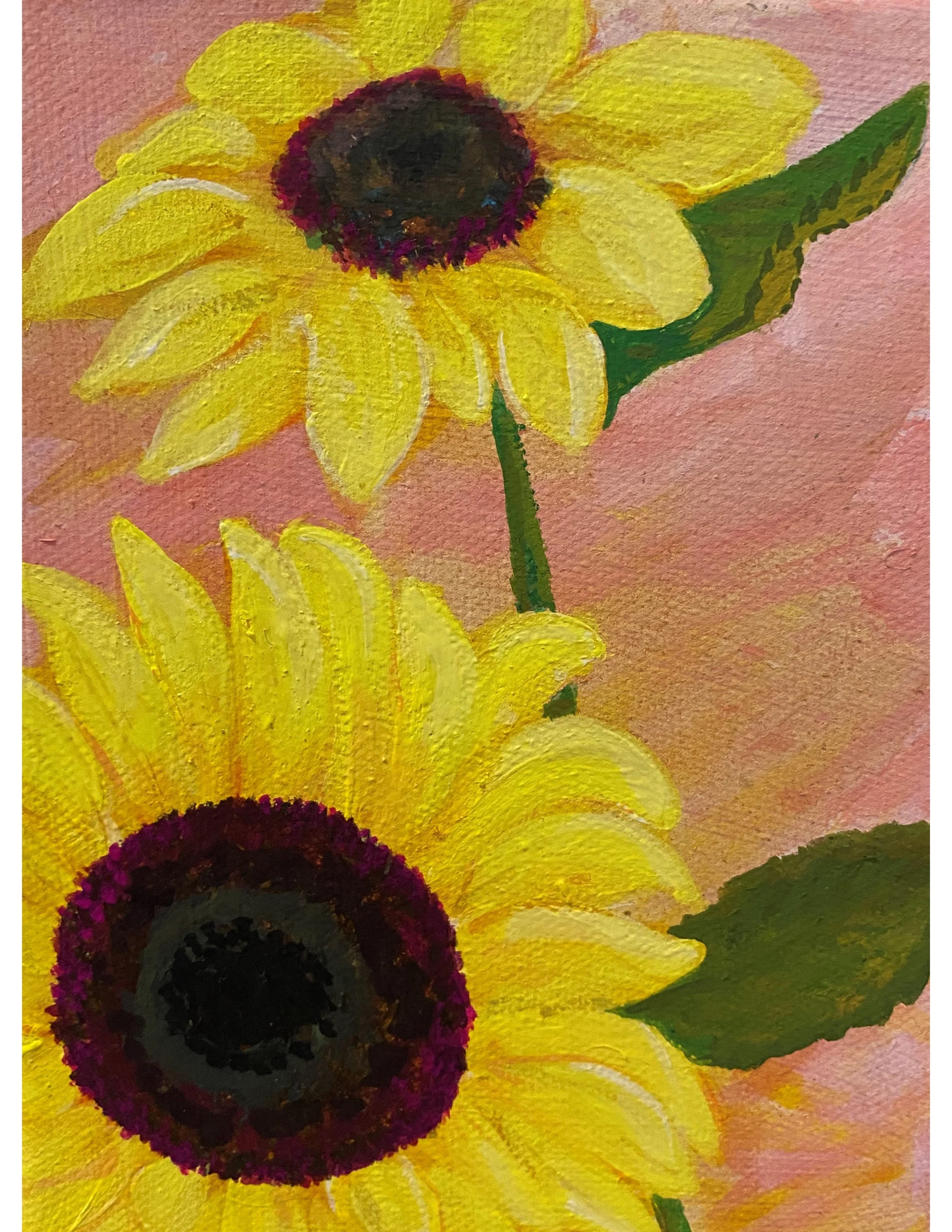 Sara Barbee — WAAA