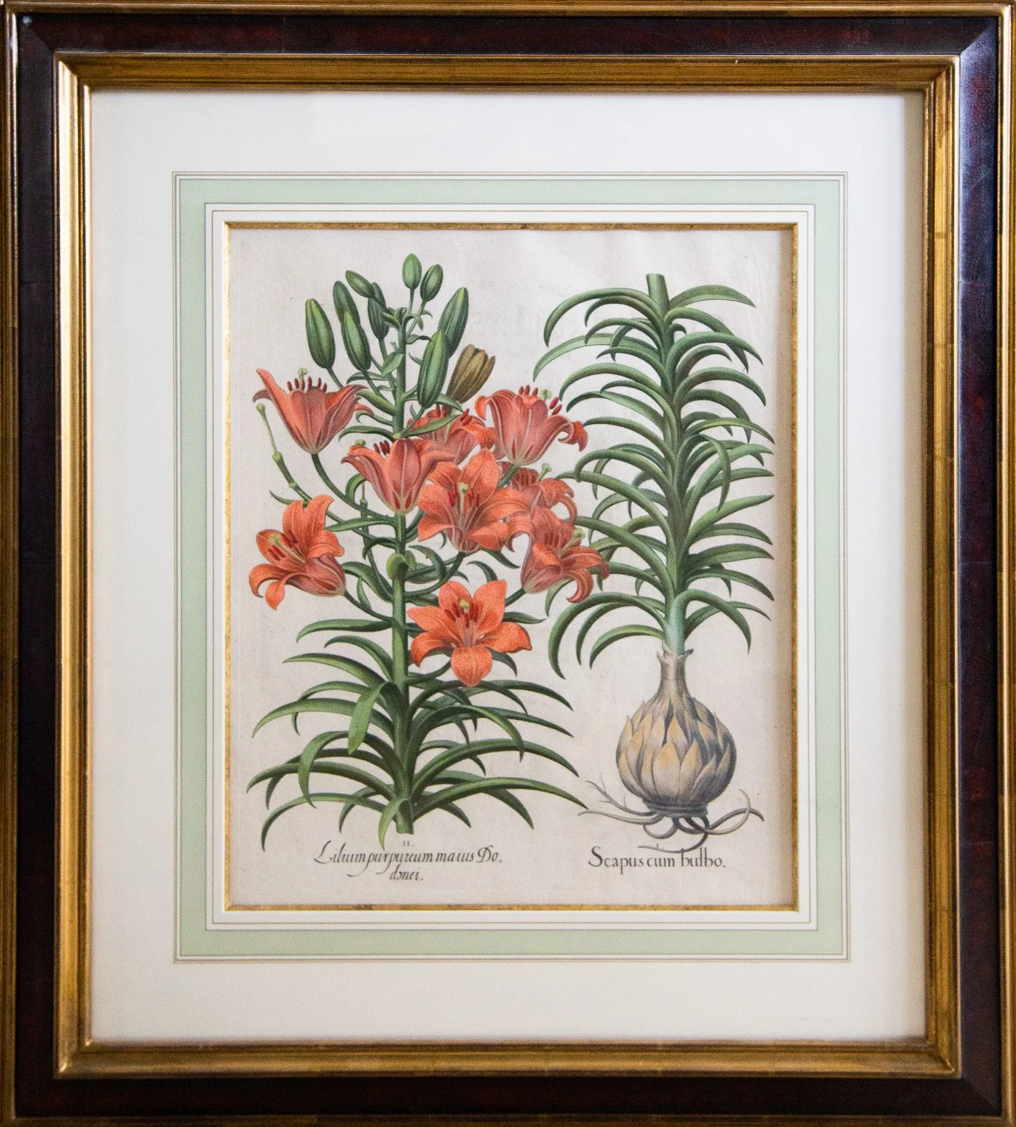 Engravings | Taylor Carlisle Galleries