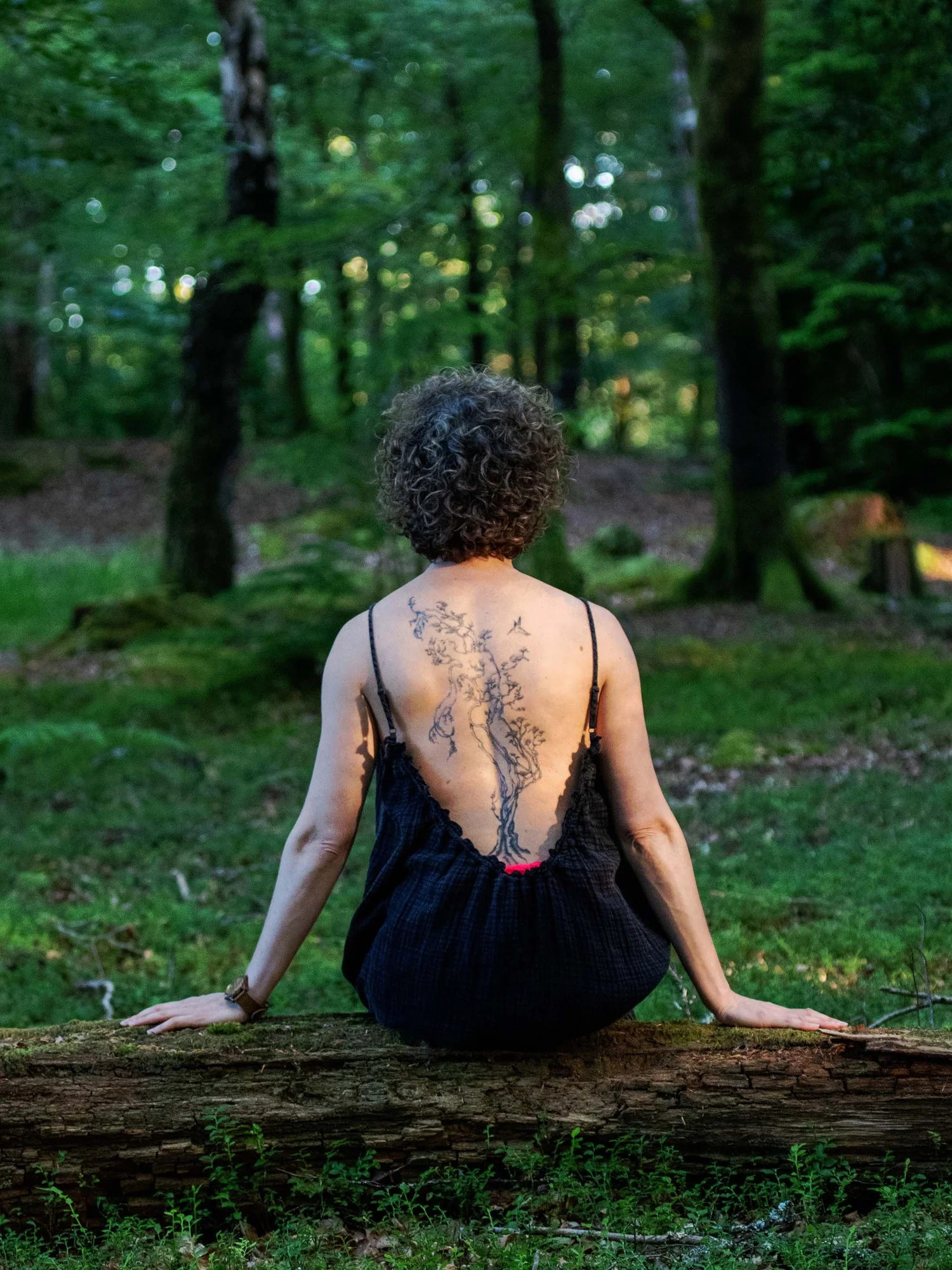Nature Writing Prize Competition — WiLD MUSE
