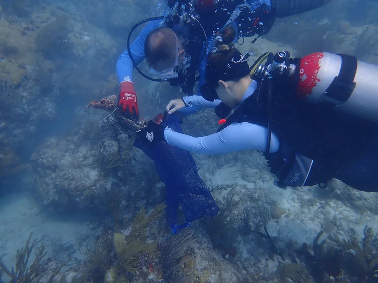 15th Annual Southeast Florida Reef Cleanup — FOFR