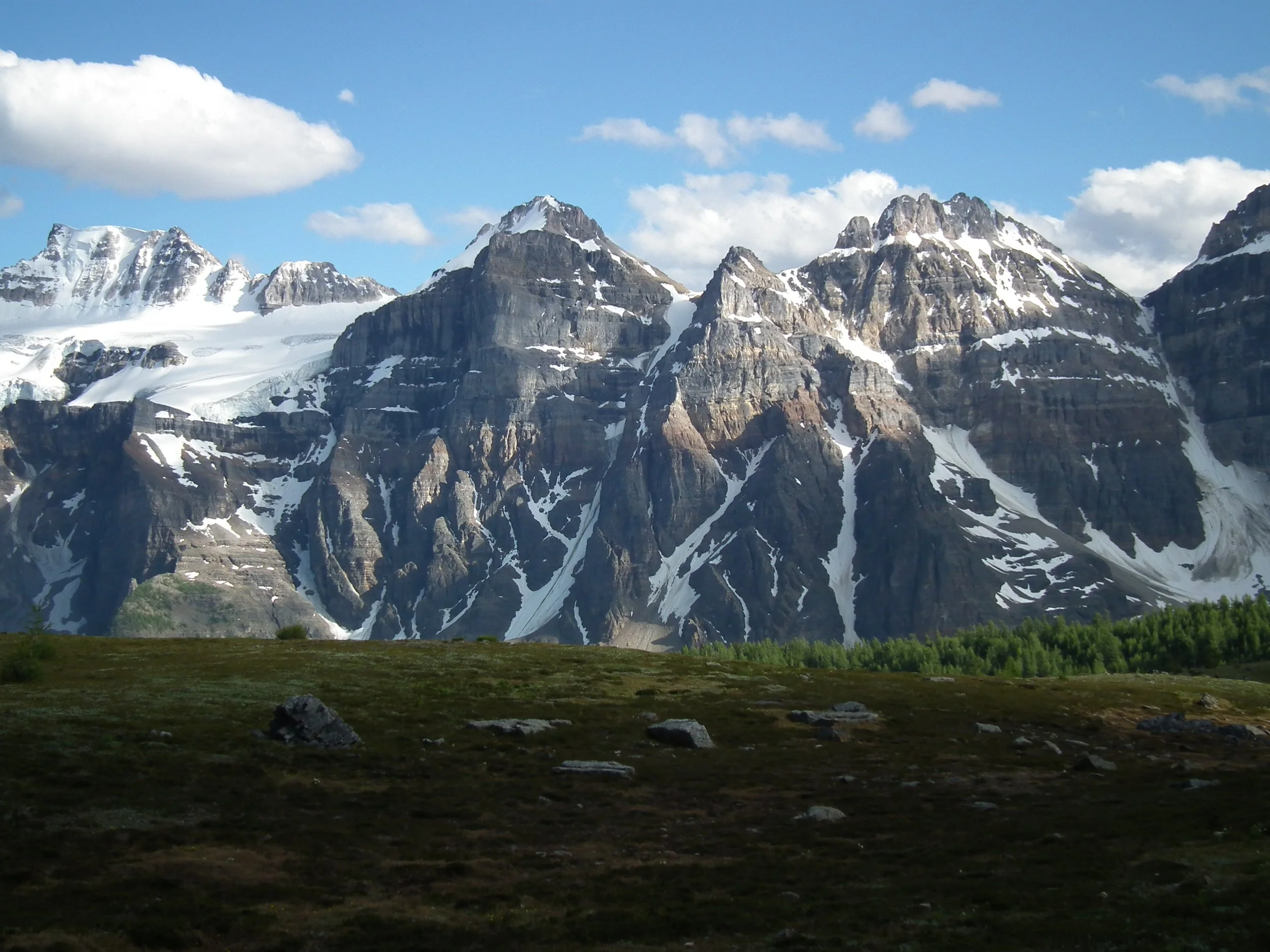 Cambrian Explosion — Geoscience Research Institute