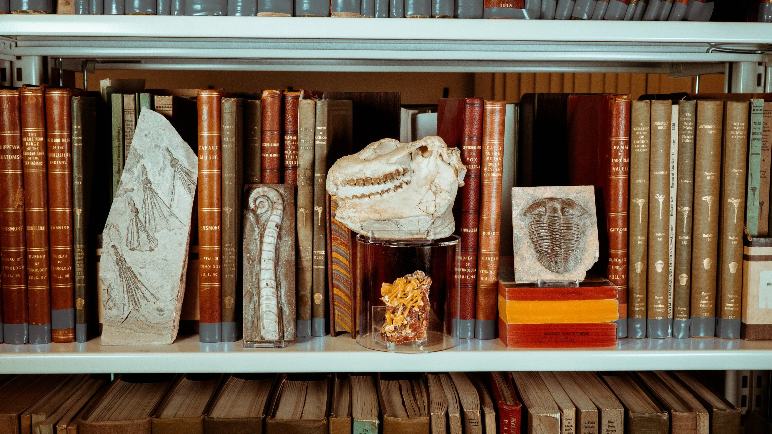 Geoscience Research Institute