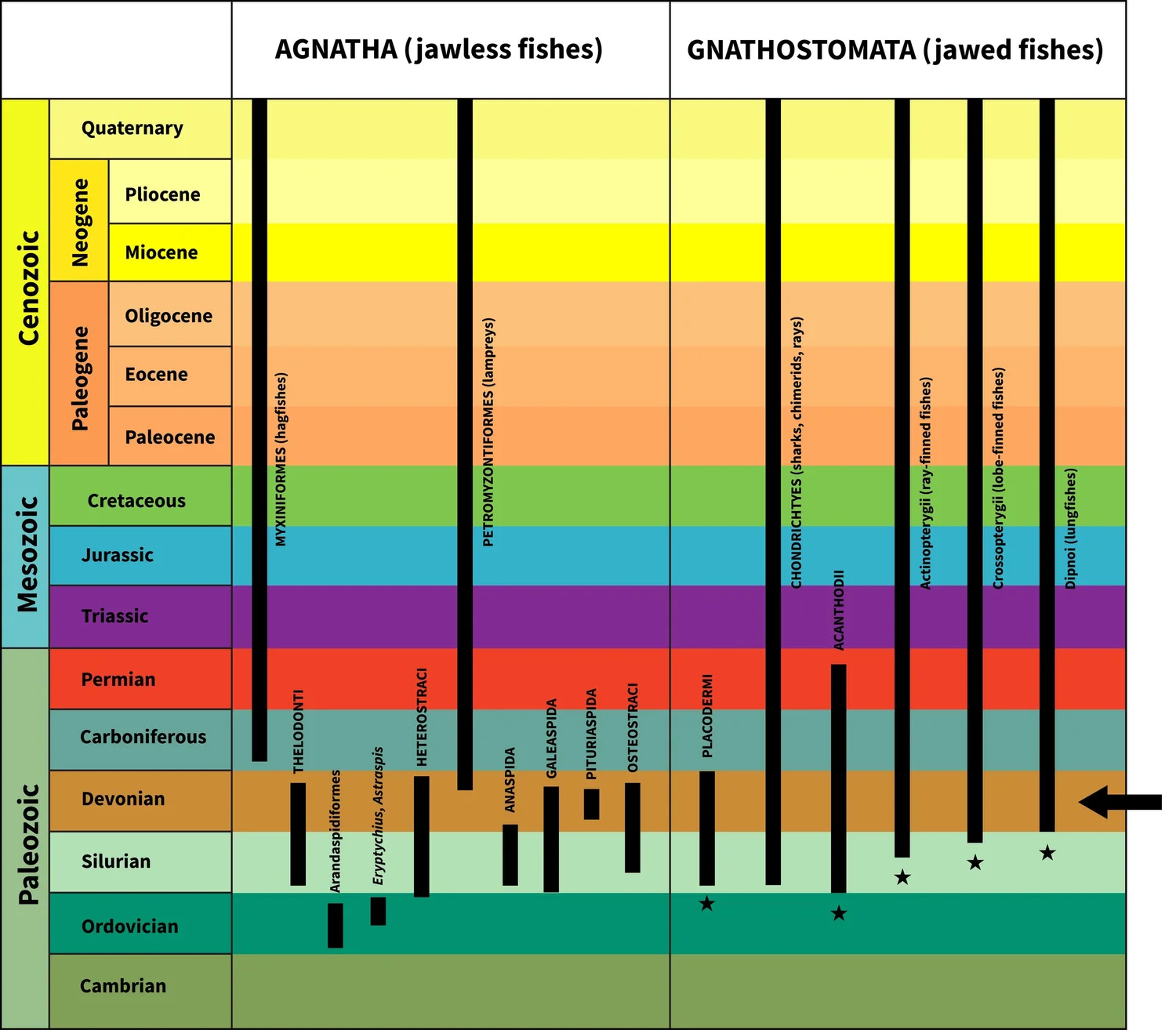 Devonian Fish — Geoscience Research Institute