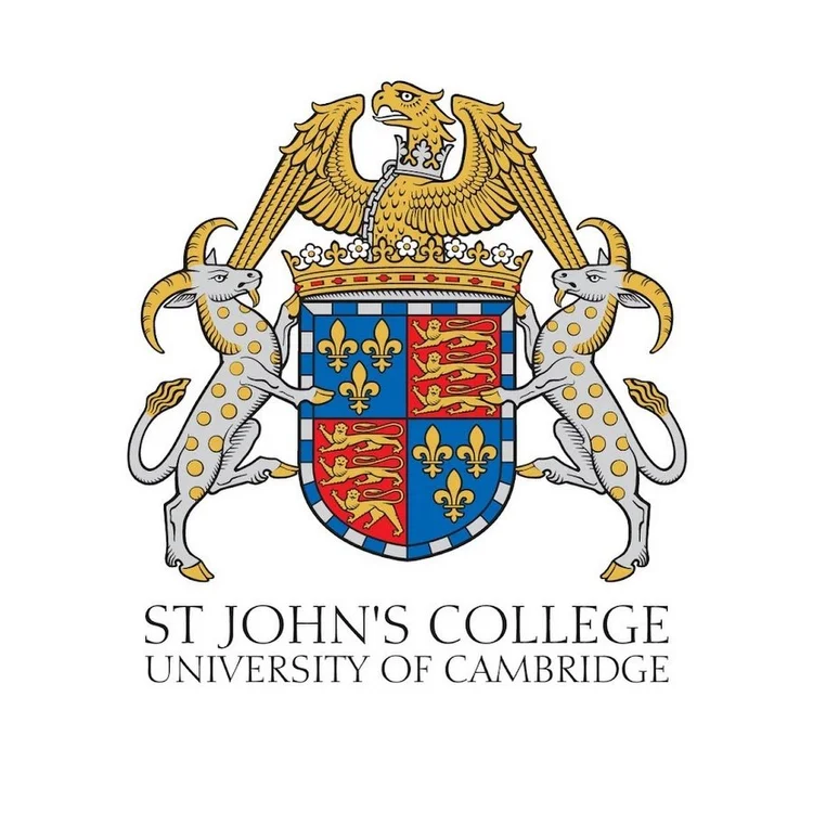 Digital Mental Health Group