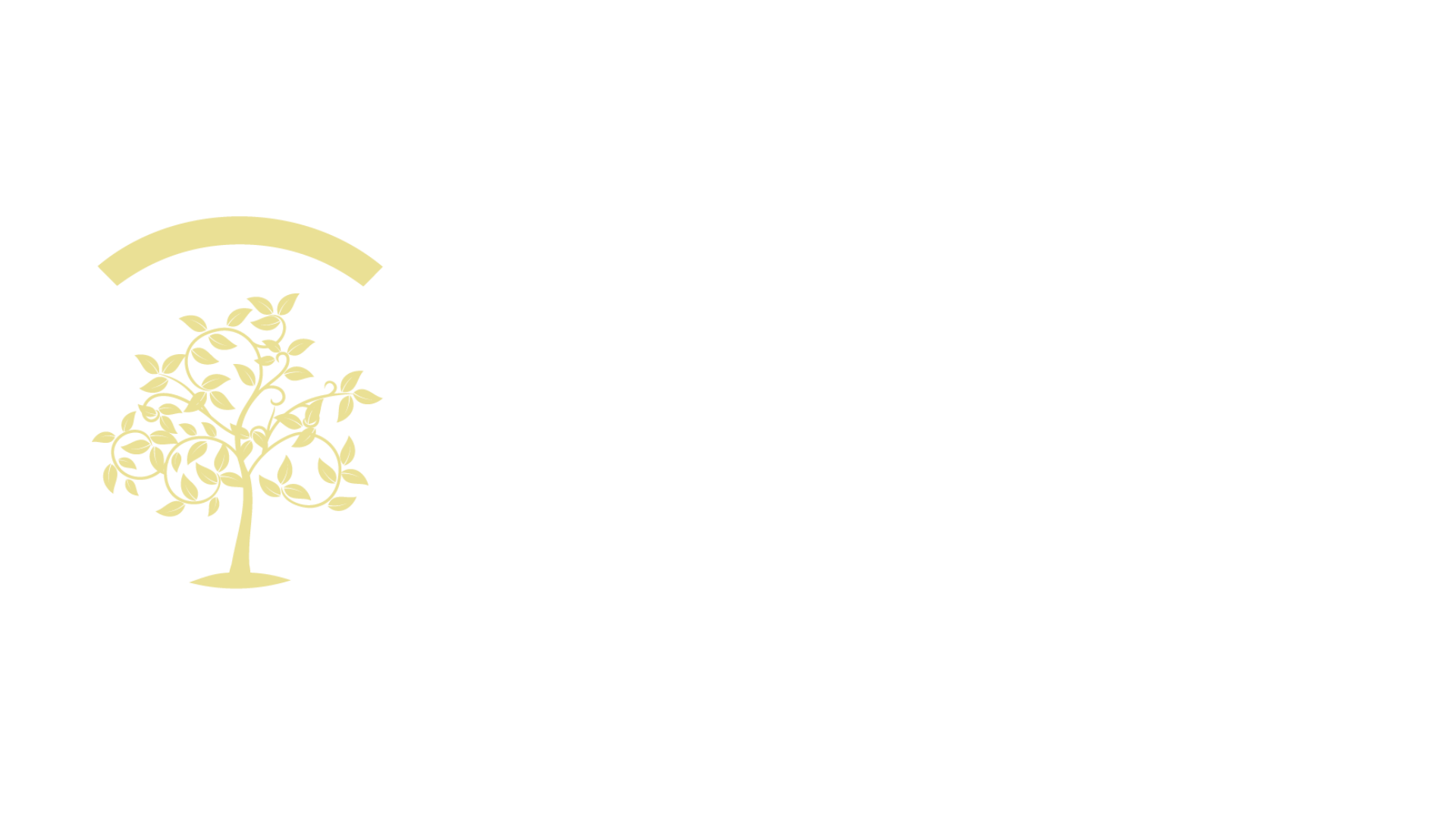 Contact Us — Arbor Illuminations