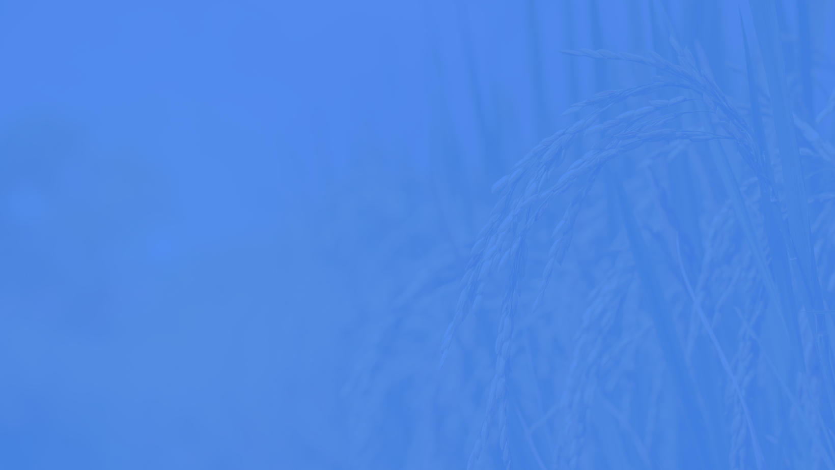 FSA Lending — RiverBank