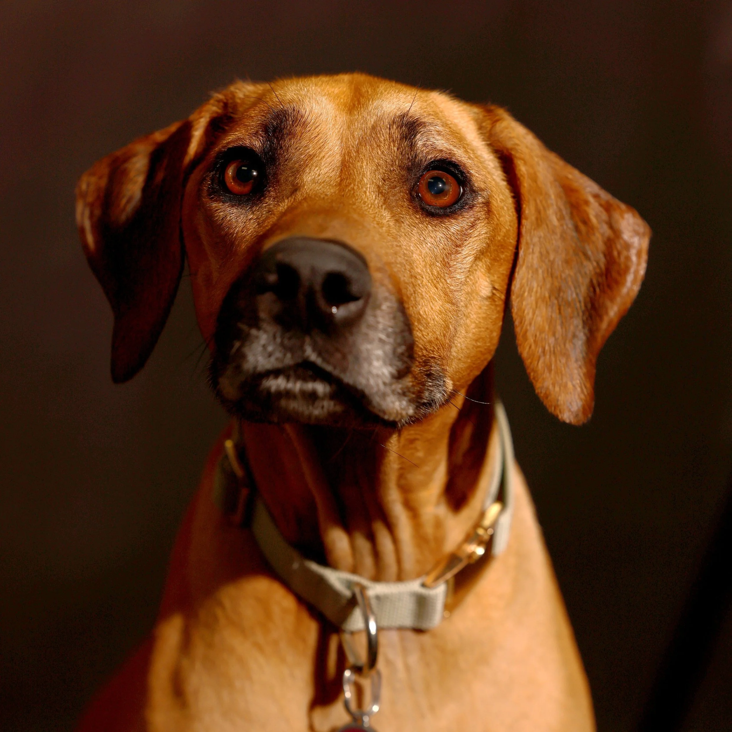 Meet The Team — Charlie Mike Protective Services