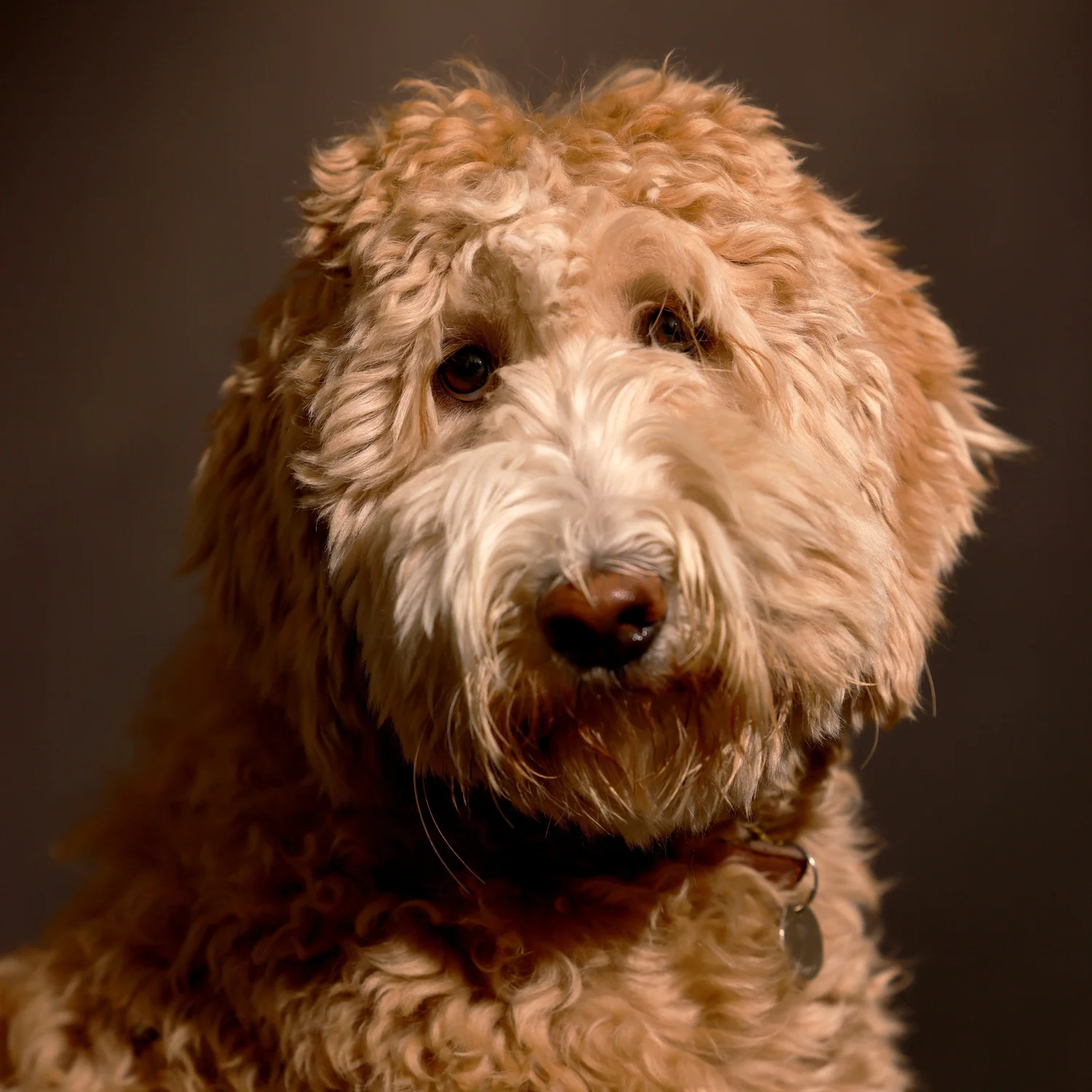 Meet The Team - Charlie Mike Protective and Investigation Services