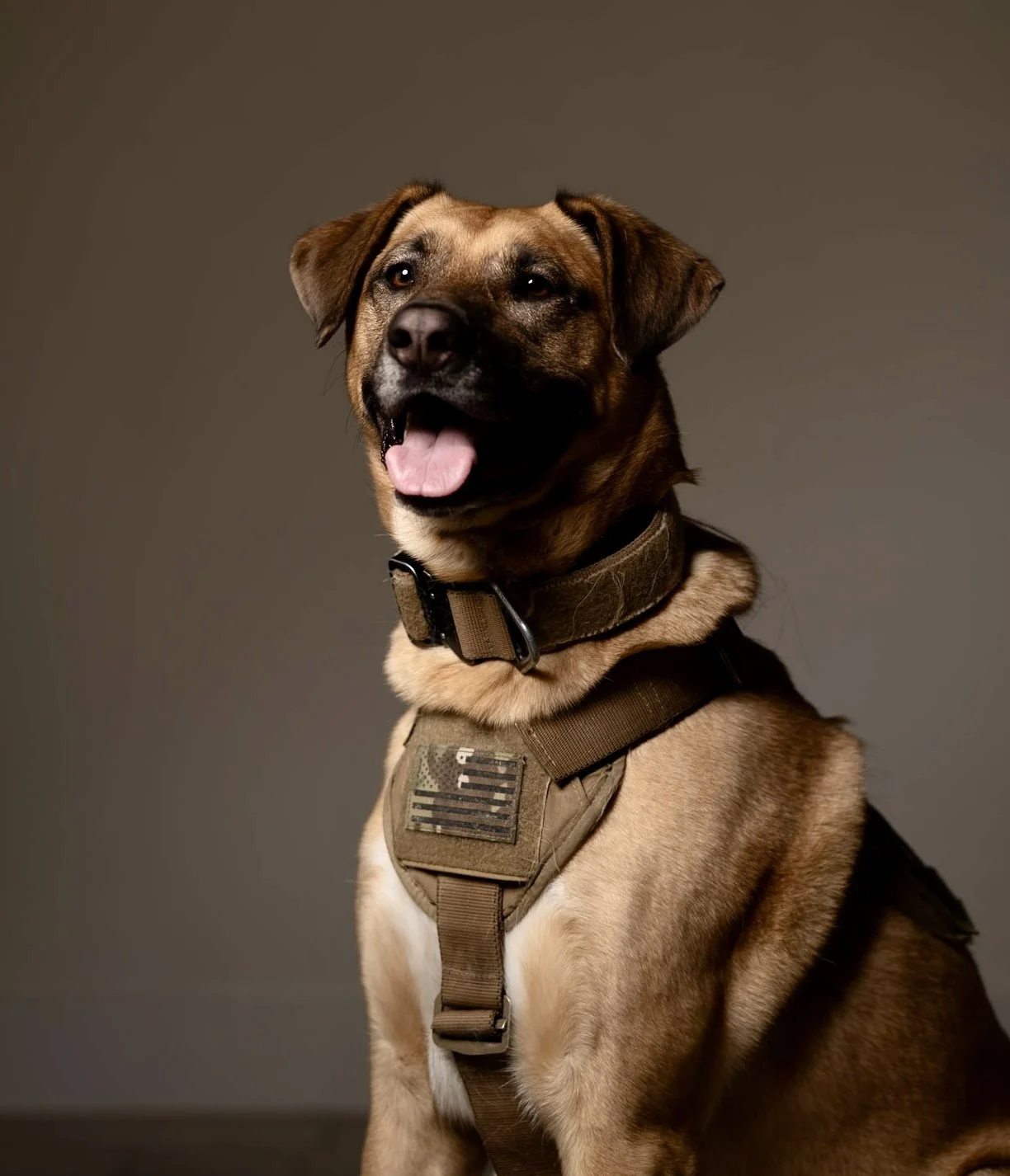 Meet The Team — Charlie Mike Protective Services