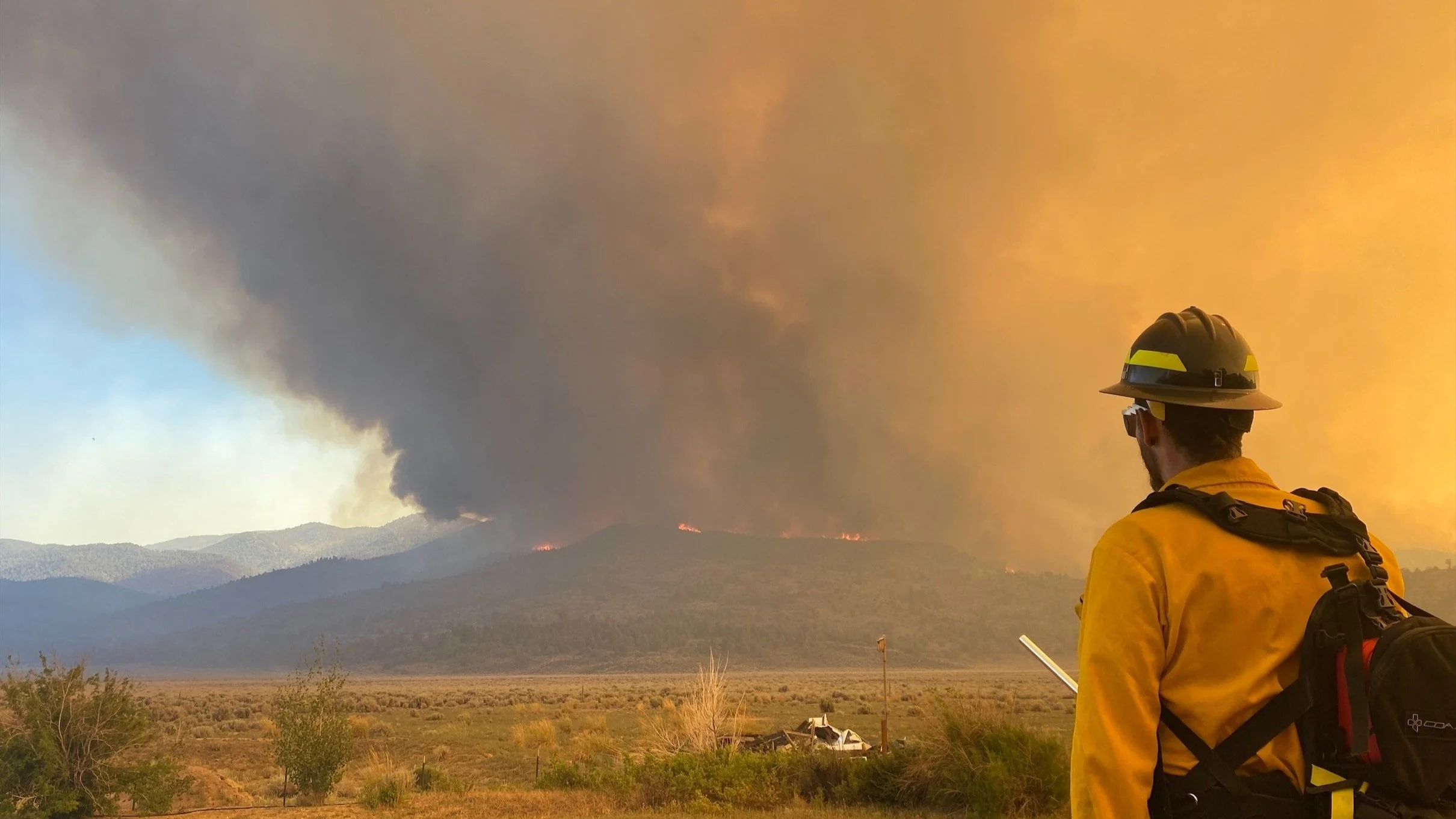 Wildfire Defense Insurance Services, Inc.