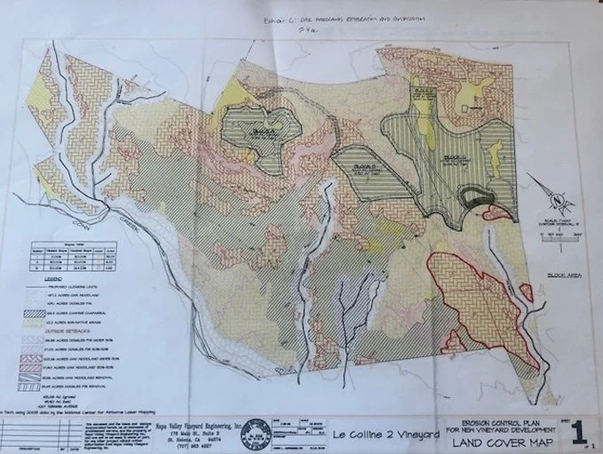 Le Colline II — Le Colline Vineyards