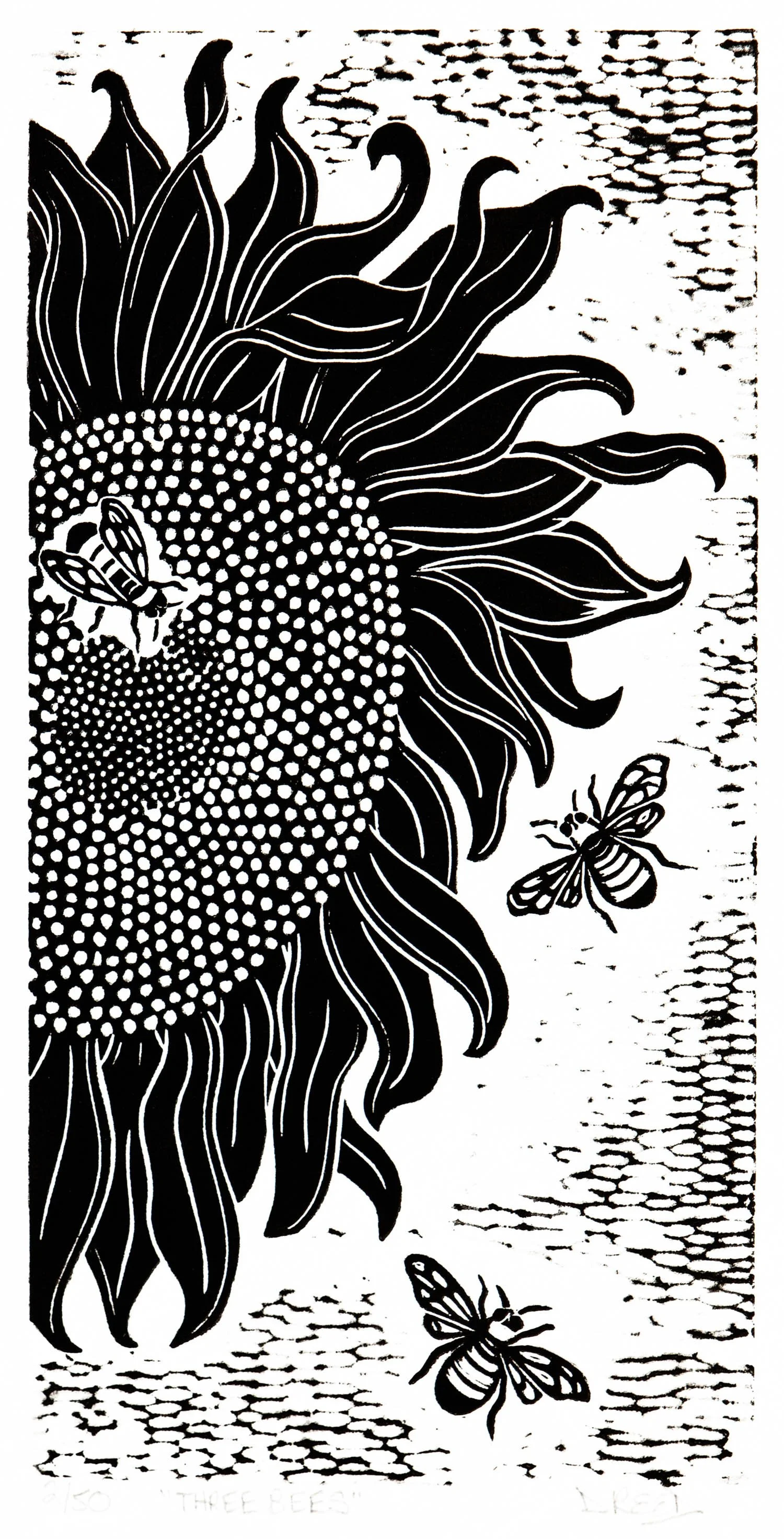 Store 2 — Dona Reed, Artist