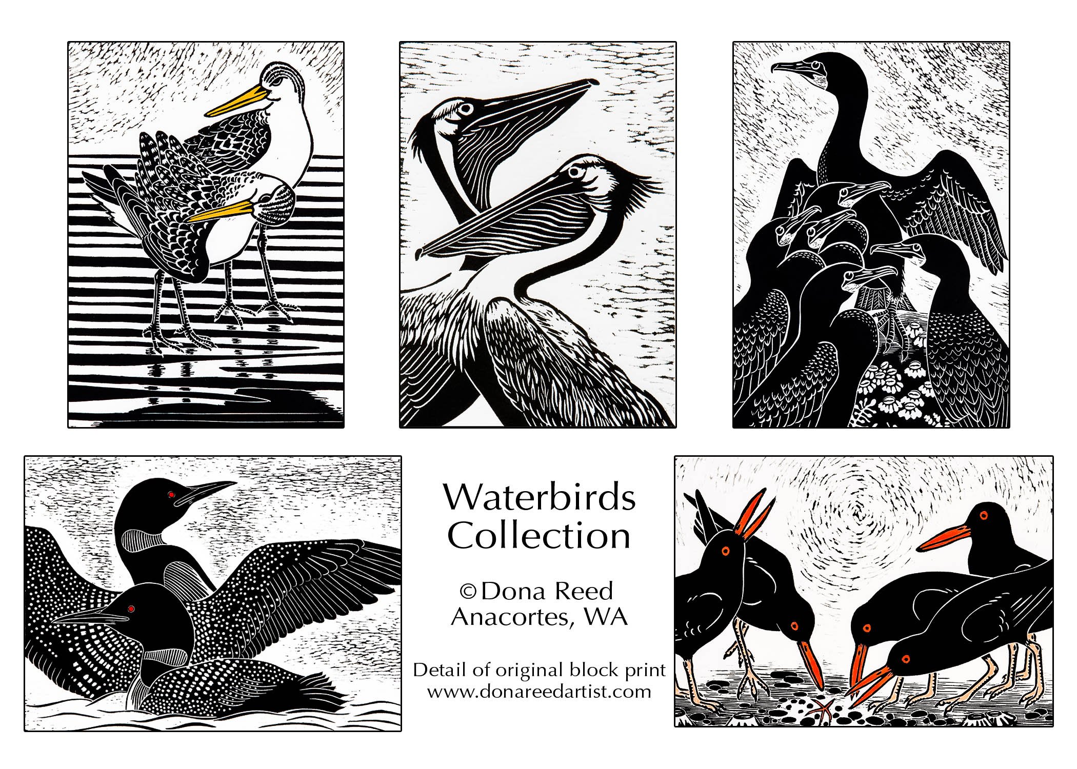 Store 2 — Dona Reed, Artist