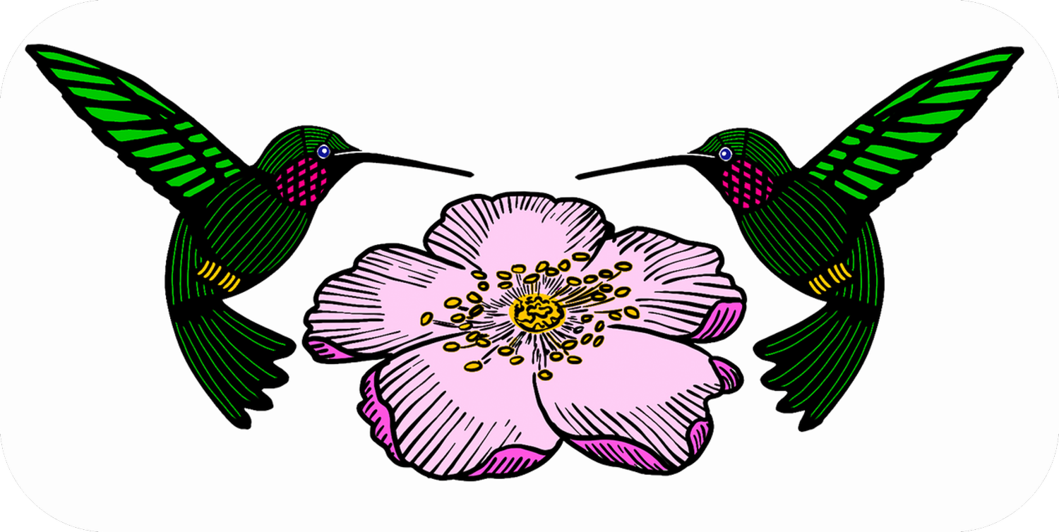 Services 1 — CLEAR Clinic