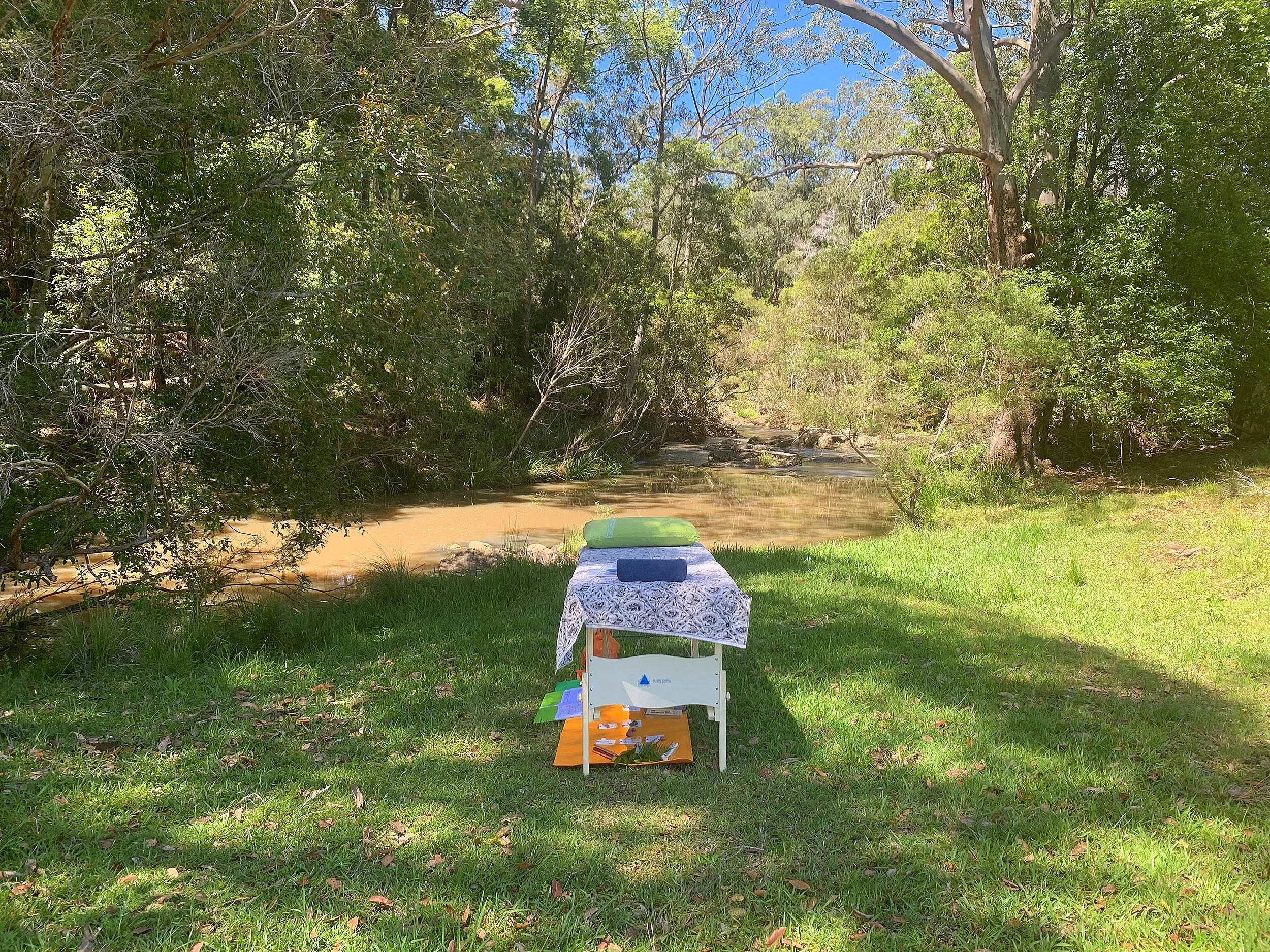 Kinesiology — Kimesiology