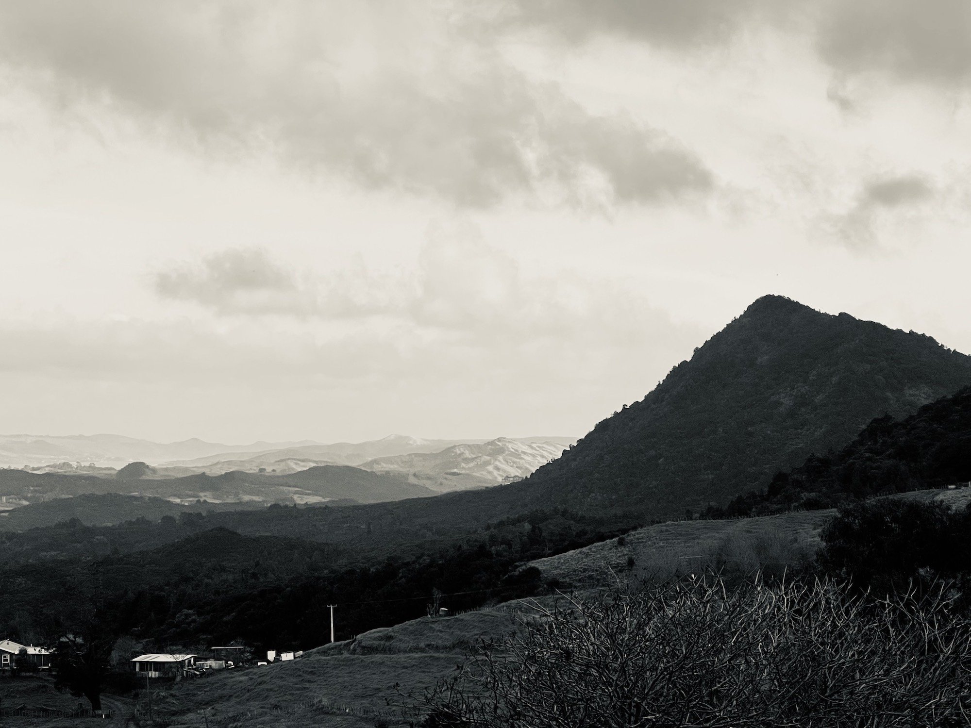 Crow McNally Films - current film