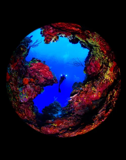 Travel — DIVE MAGIC