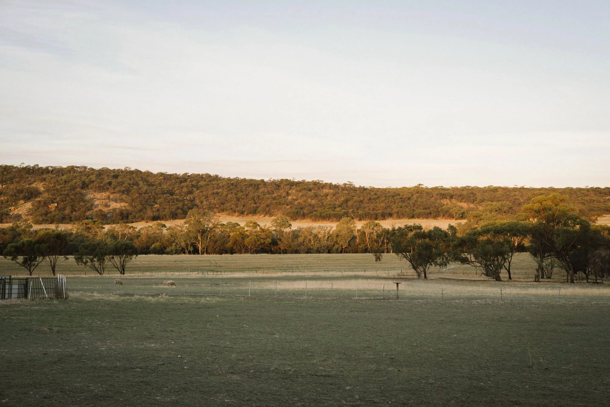 Lavendale Country Retreat | Farm Stay | York, WA