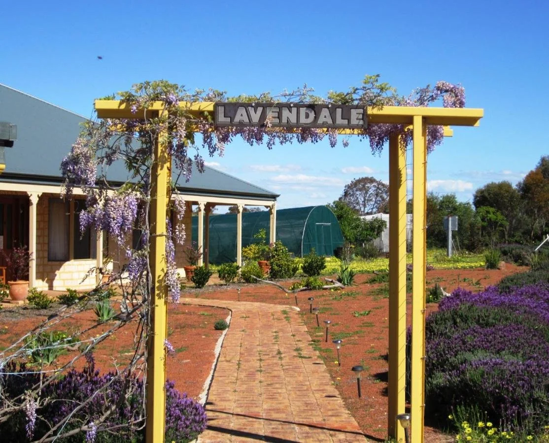 Lavendale Country Retreat | Farm Stay | York, WA