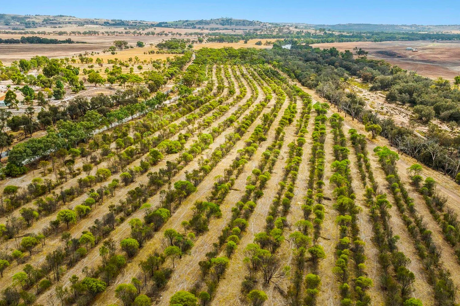 Lavendale Country Retreat | Farm Stay | York, WA