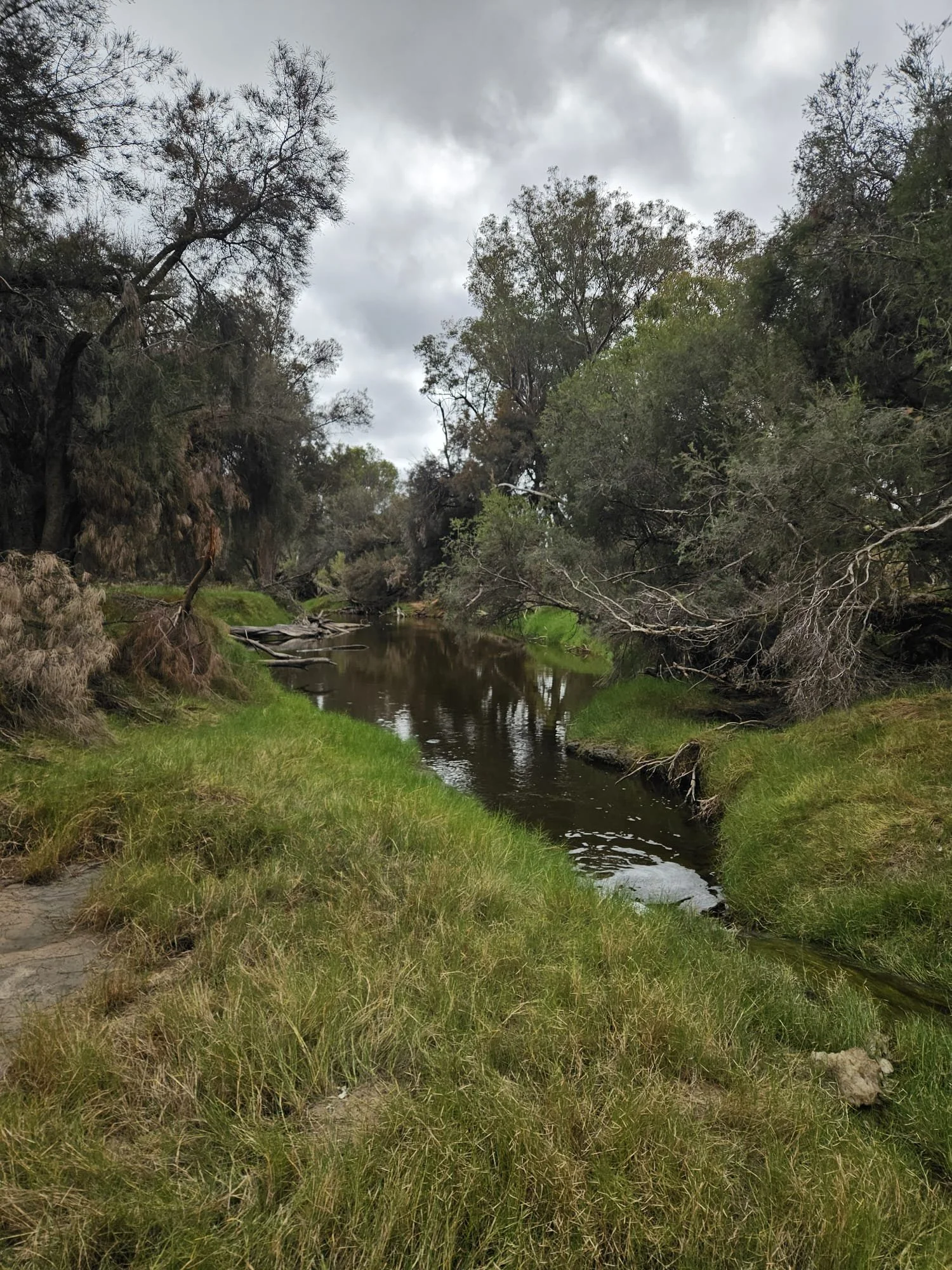 Lavendale Country Retreat | Farm Stay | York, WA