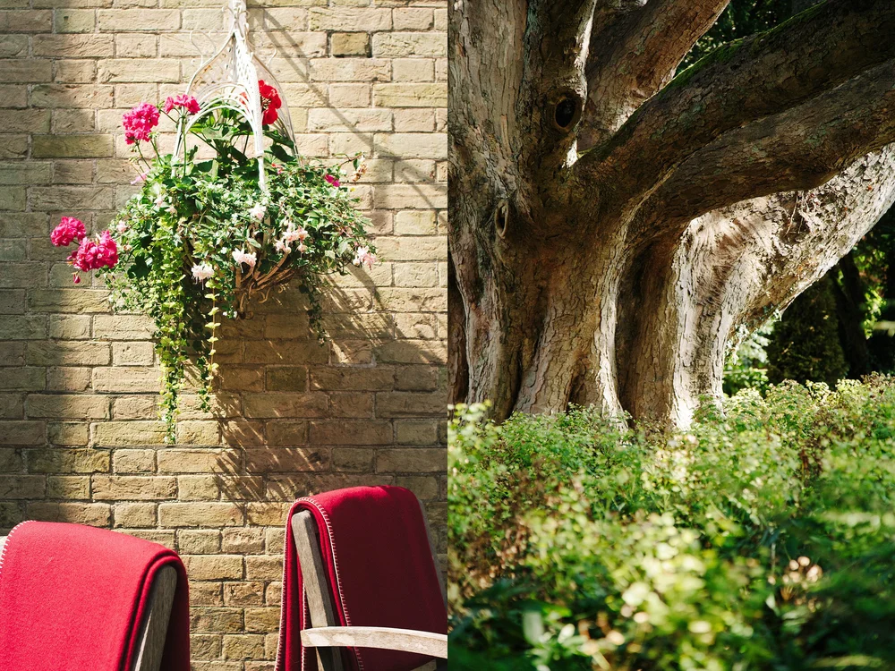 The Terrace | Enjoy Outdoor Dining Today — The Westwood Restaurant in ...