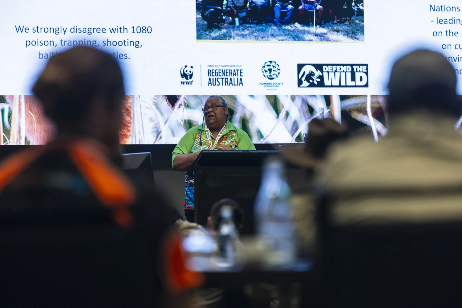 The Significance of the Dingo in Indigenous Culture — Dingo Advisory ...