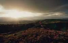 estate | Discover and Explore — Tregoyd