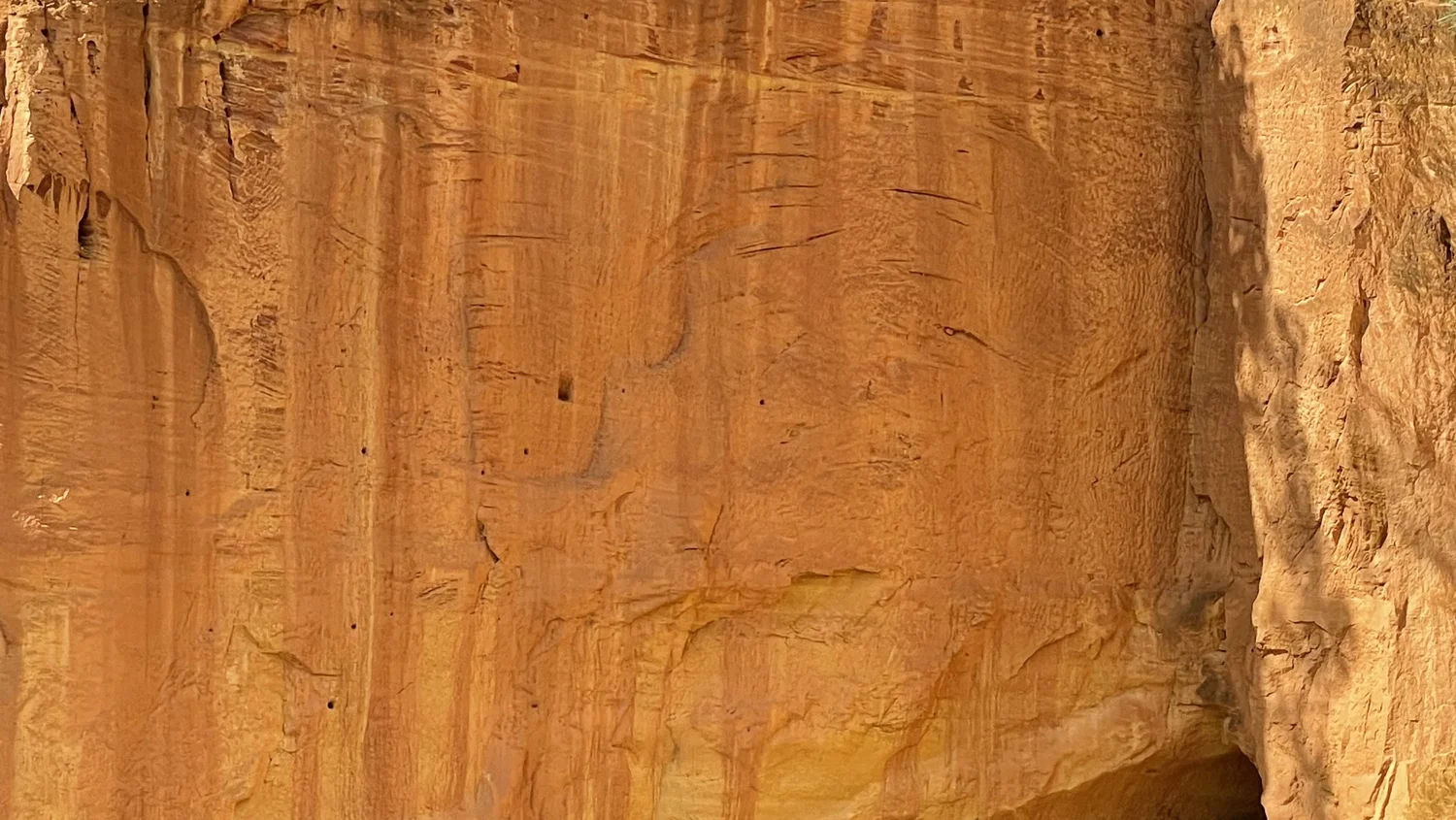 General 3 — Charlotte Caspers