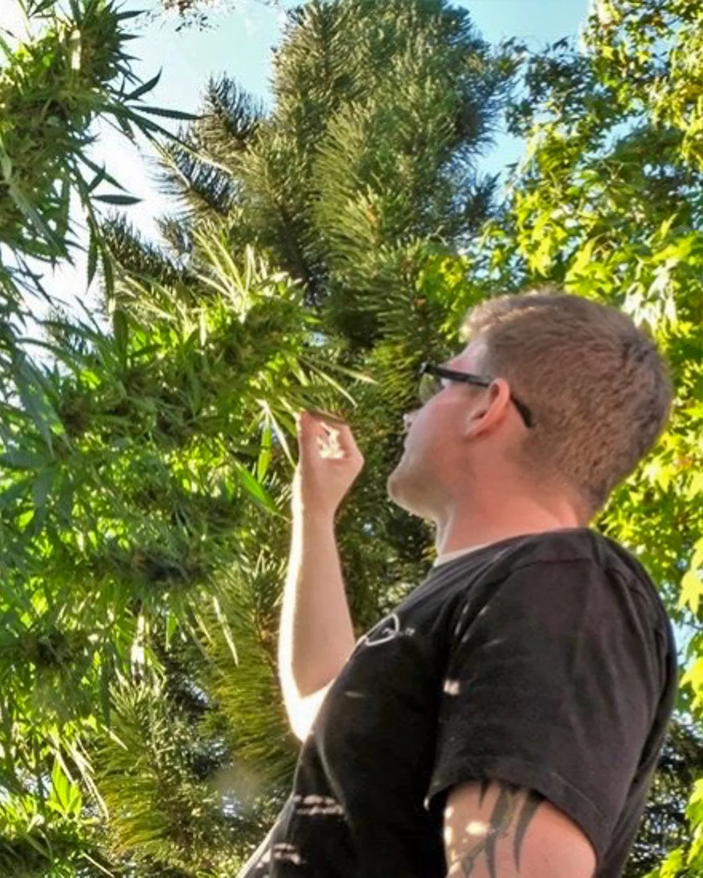 Solventless Hash & Concentrates | Sweetgrass Botanicals