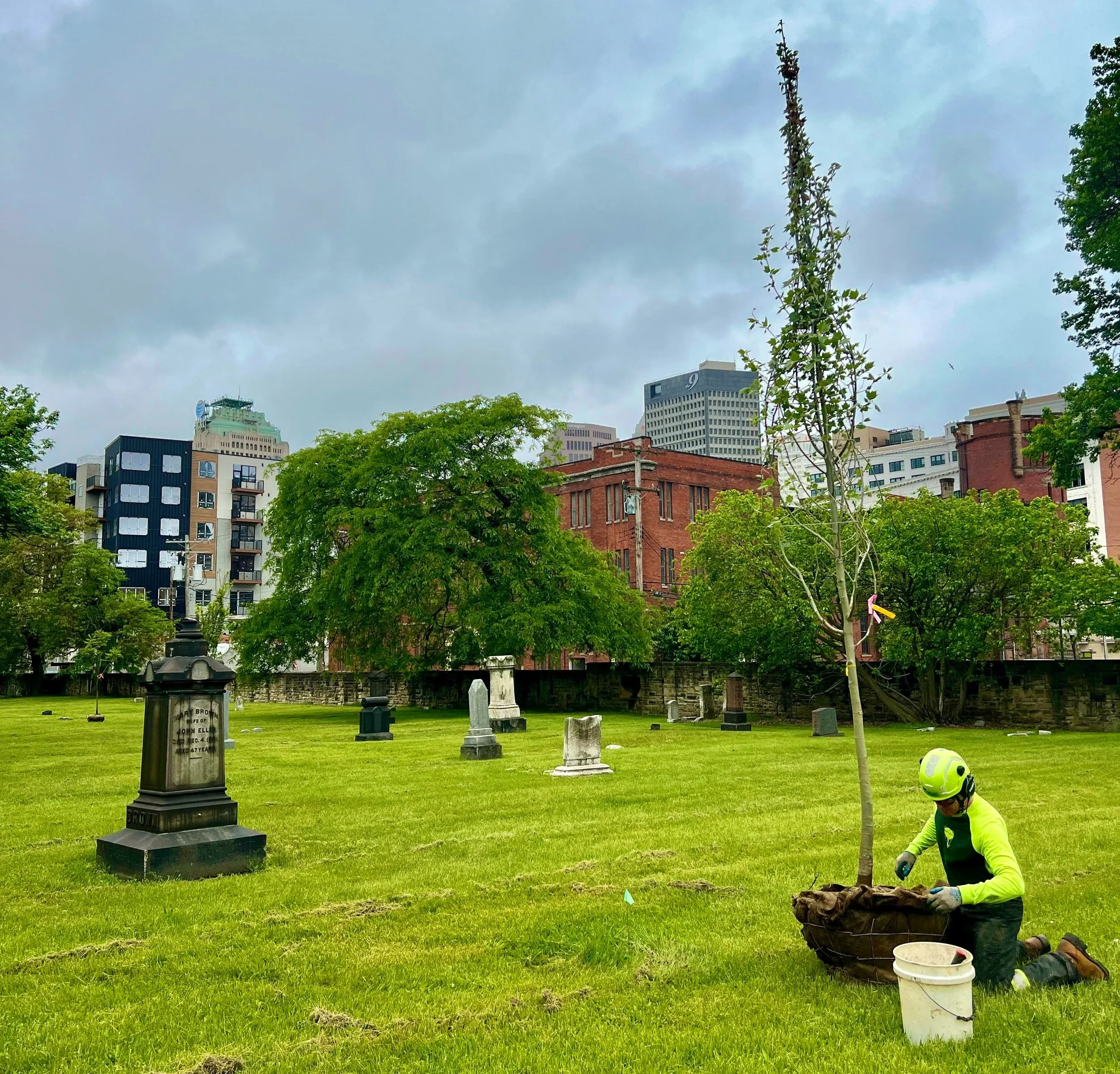 10 Mature Trees Planted in Erie Street Cemetery — Downtown Cleveland