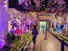 Downtown Cleveland Spring Bucket List — Downtown Cleveland