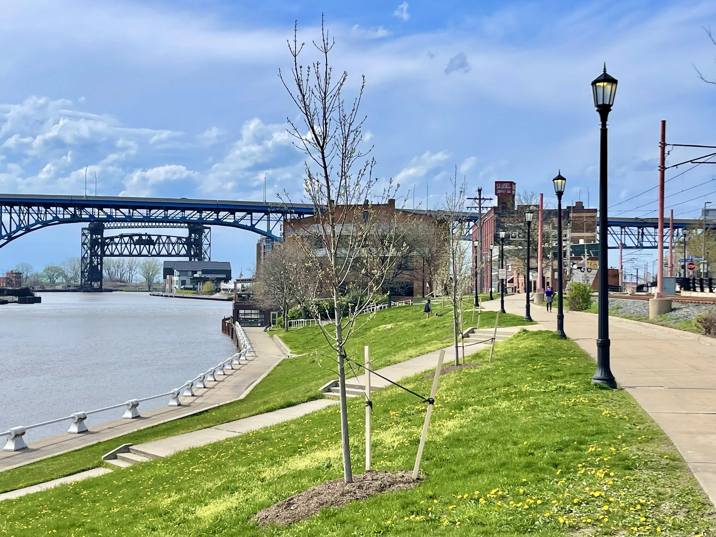 Reimagining Downtown Cleveland - Expanding the Tree Canopy — Downtown ...