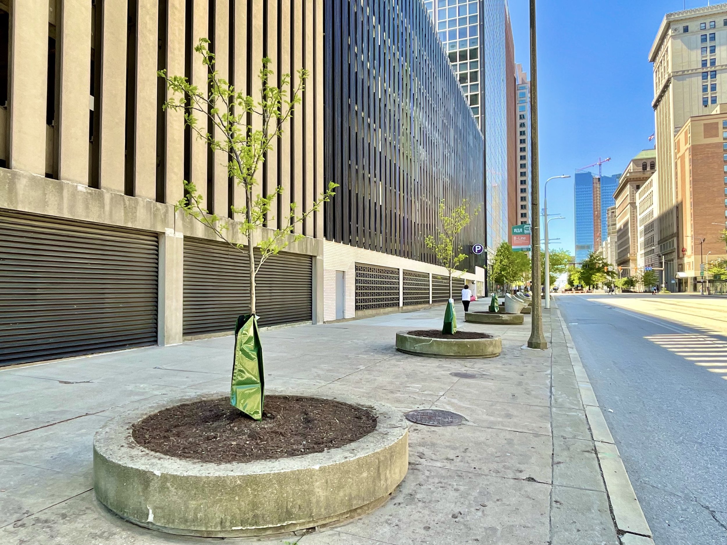 Reimagining Downtown Cleveland - Expanding the Tree Canopy — Downtown ...