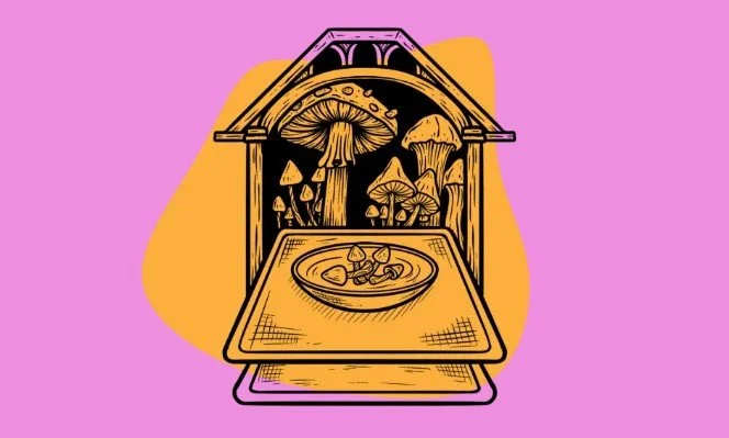 Happie Mushrooms Education Mushrooms Blog — Happy Mushrooms