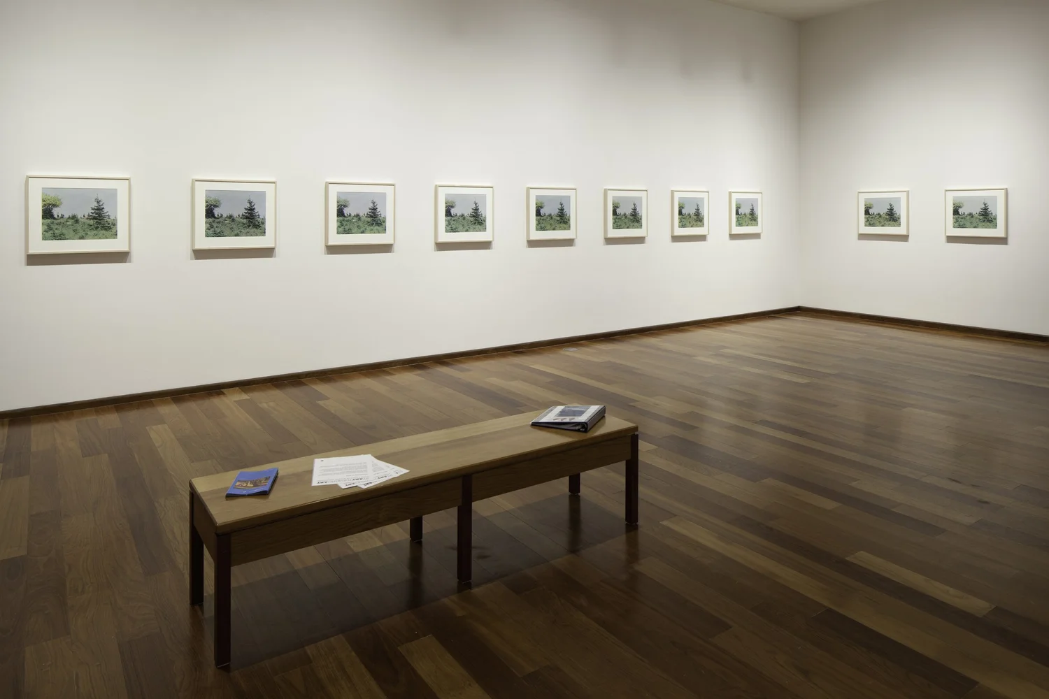 Birch Contemporary Robert Birch Gallery Toronto art drawing painting ...