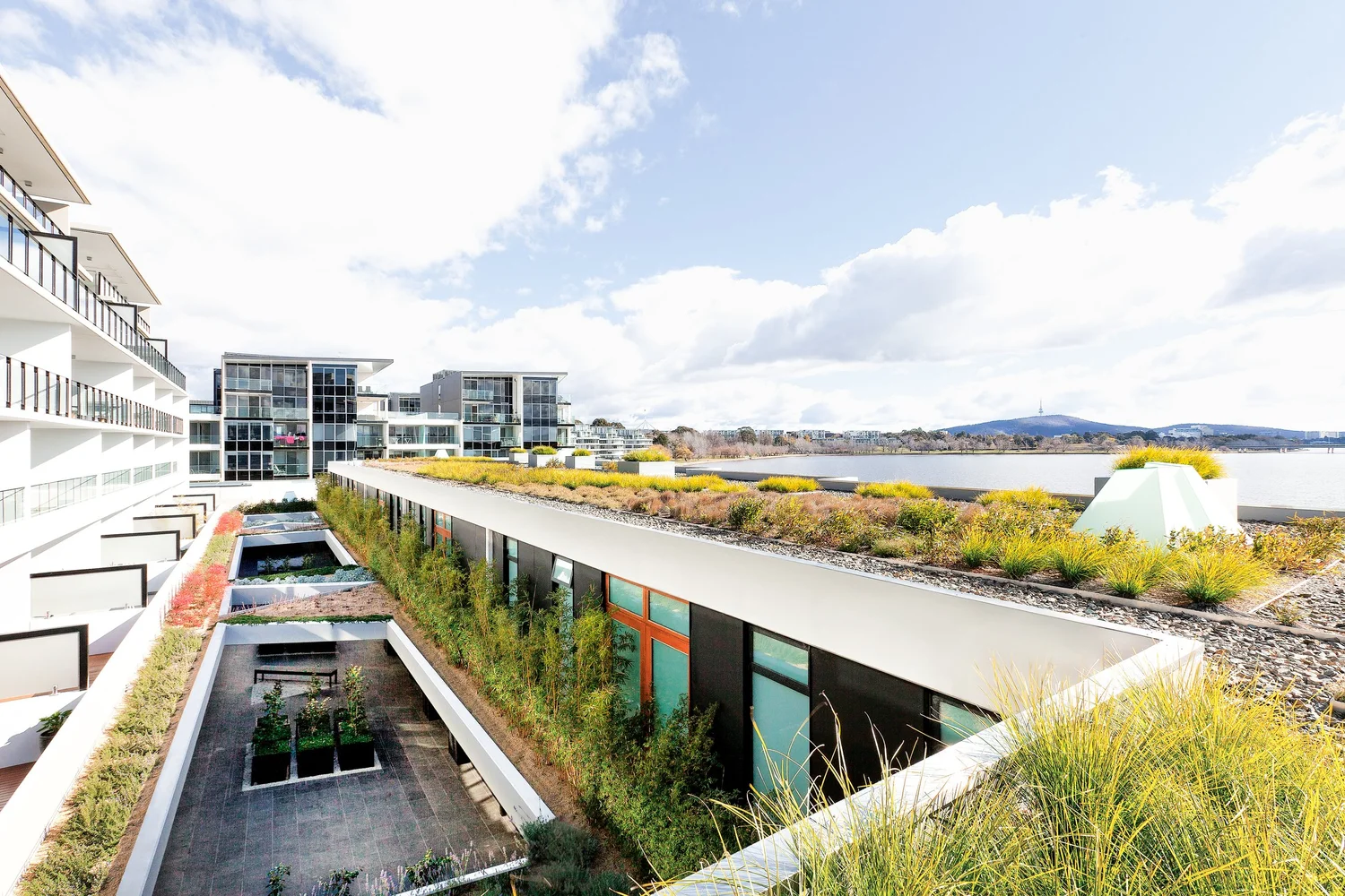 Intensive (Roof Garden) | Discover Green Roof Solutions Today — ZinCo