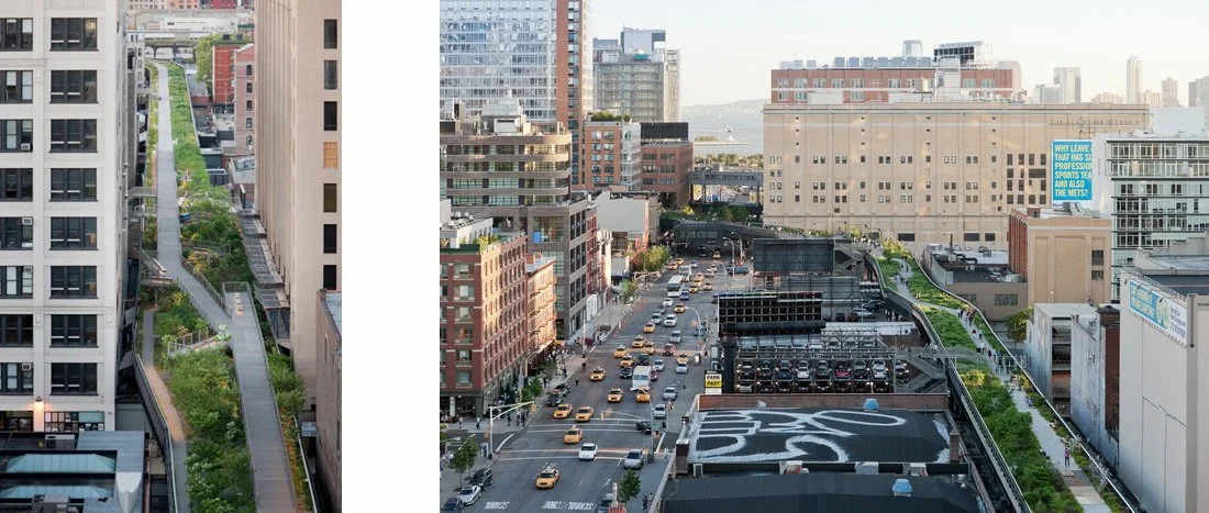 Insights - THE HIGH LINE — ZinCo