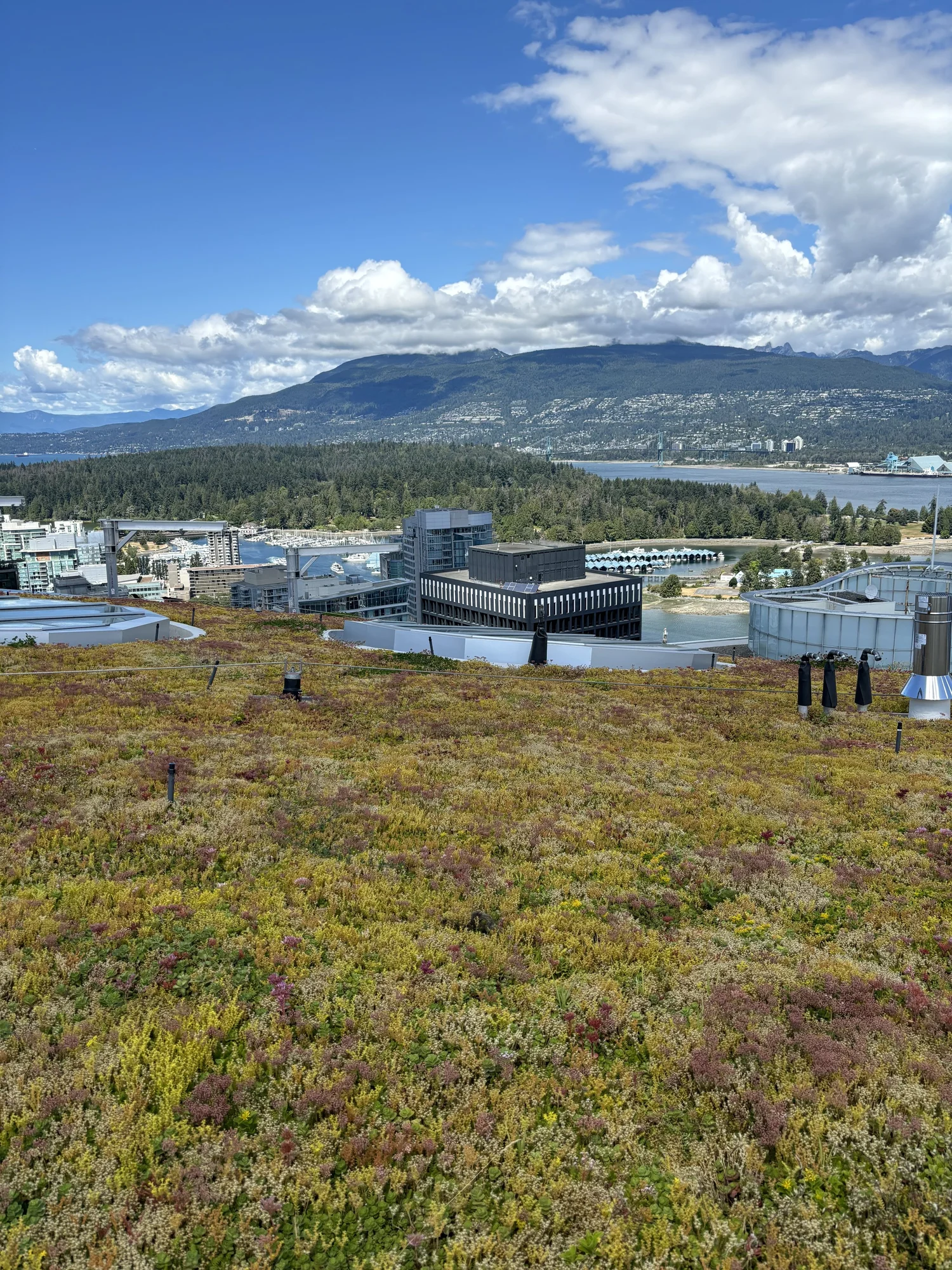 Project - West Pender | Discover Sustainable Roofing Solutions – Get ...