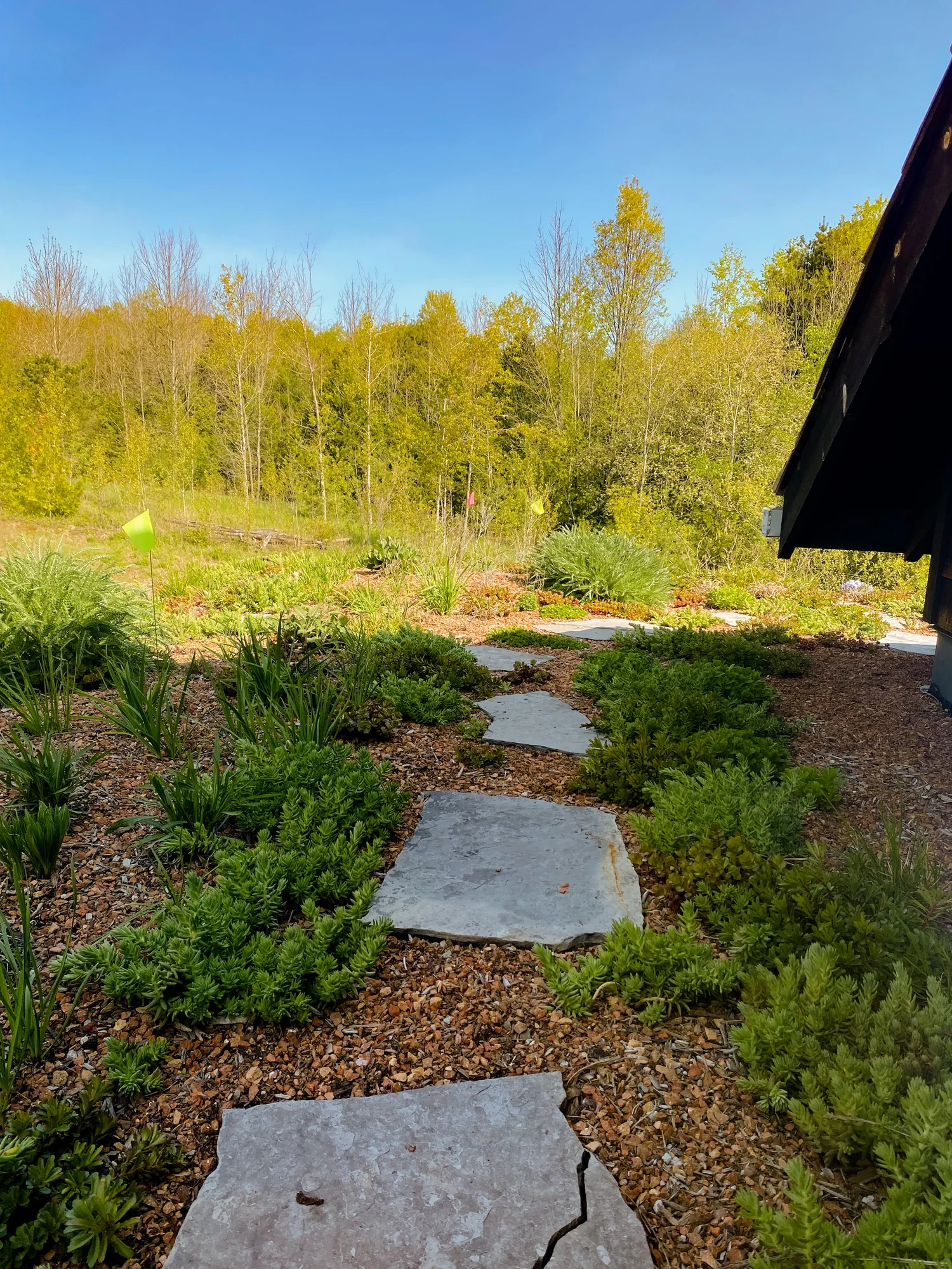 Work - Mono Cabin — ZinCo