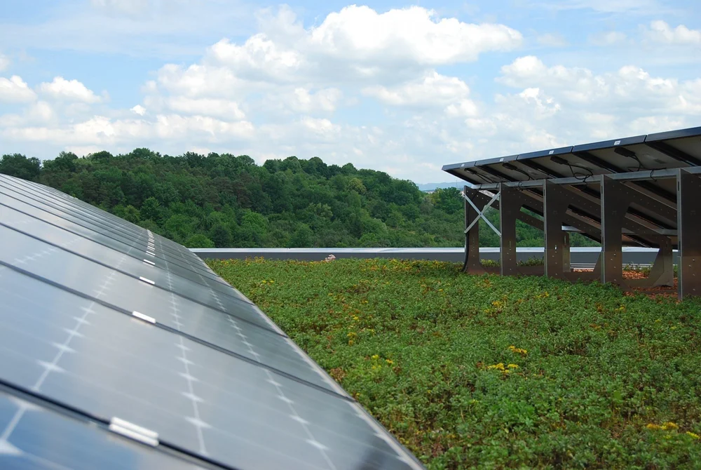 Green Roof & Solar — ZinCo