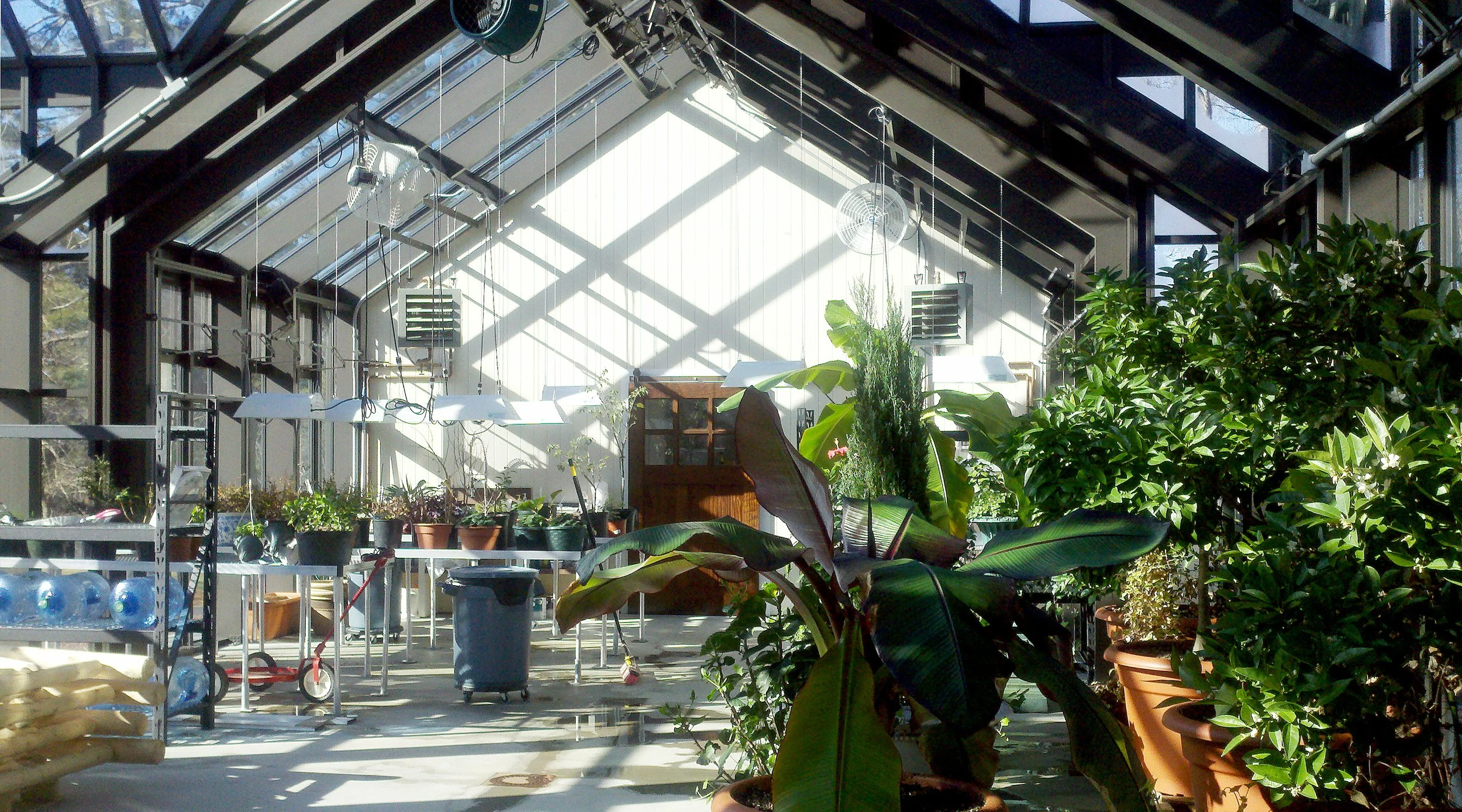 Wintergarden Greenhouses | Luxury Greenhouses, Victorian Greenhouses