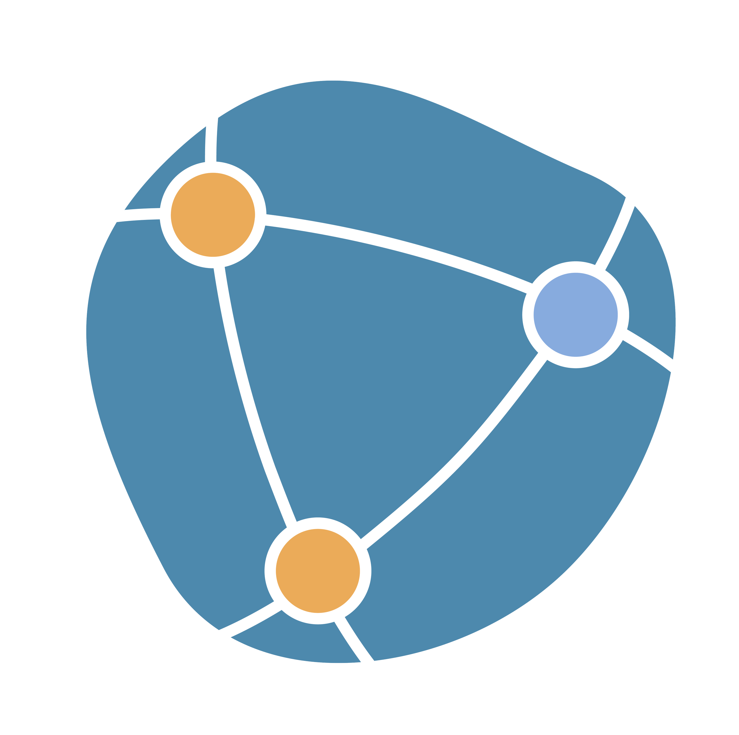 Wishbone Xenograft - Dental Bone Graft Surgery