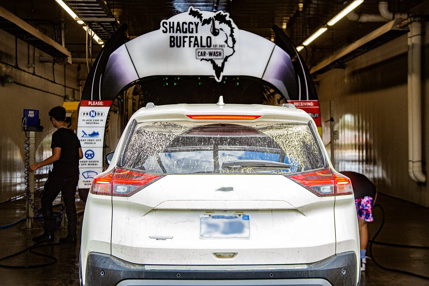 Shaggy Buffalo Car Wash