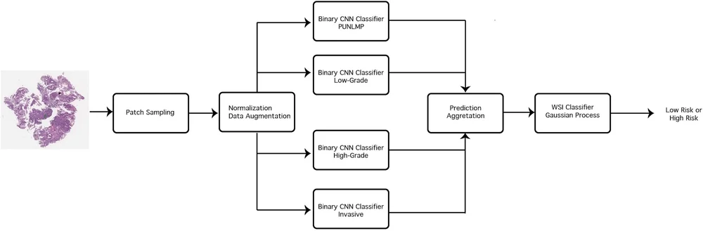 Bladder Cancer Prognosis Using Deep Neural Networks and Histopathology ...