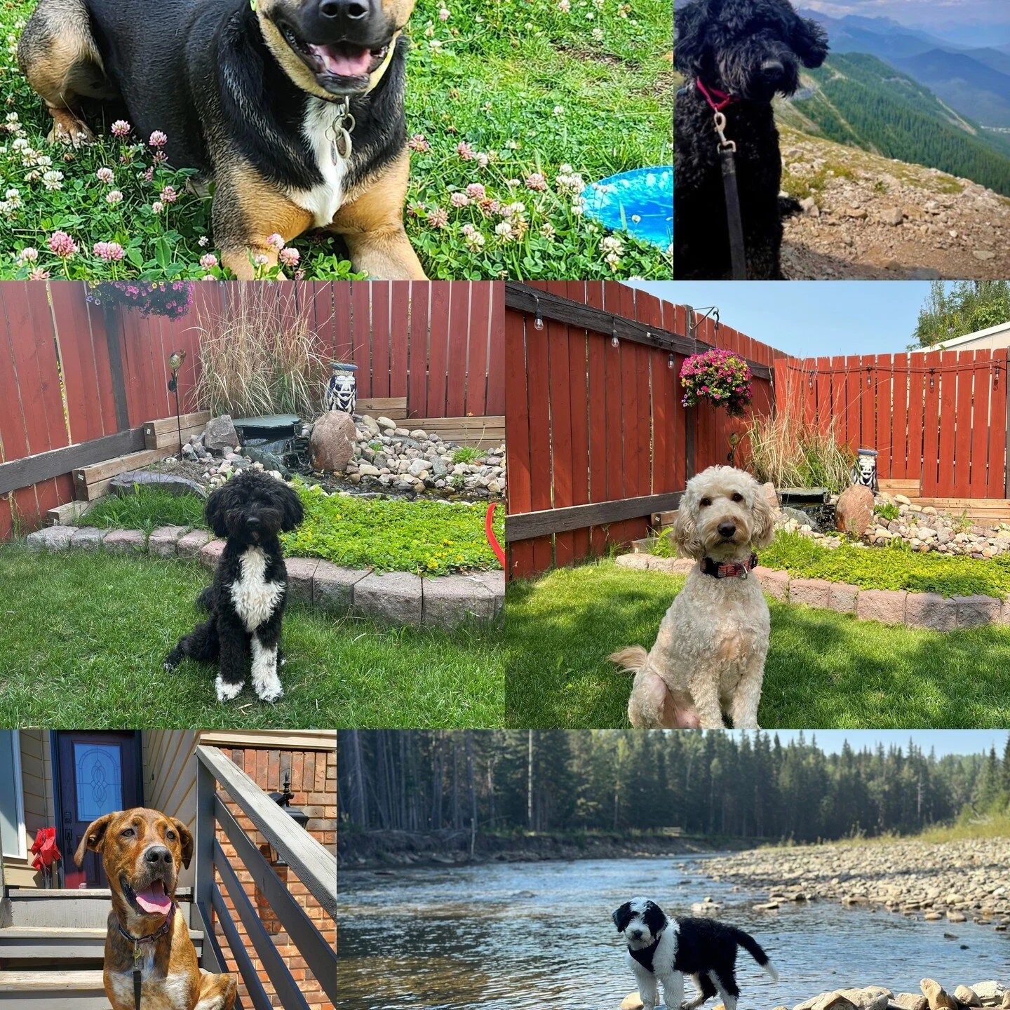 BASIN Environmental & Engineering