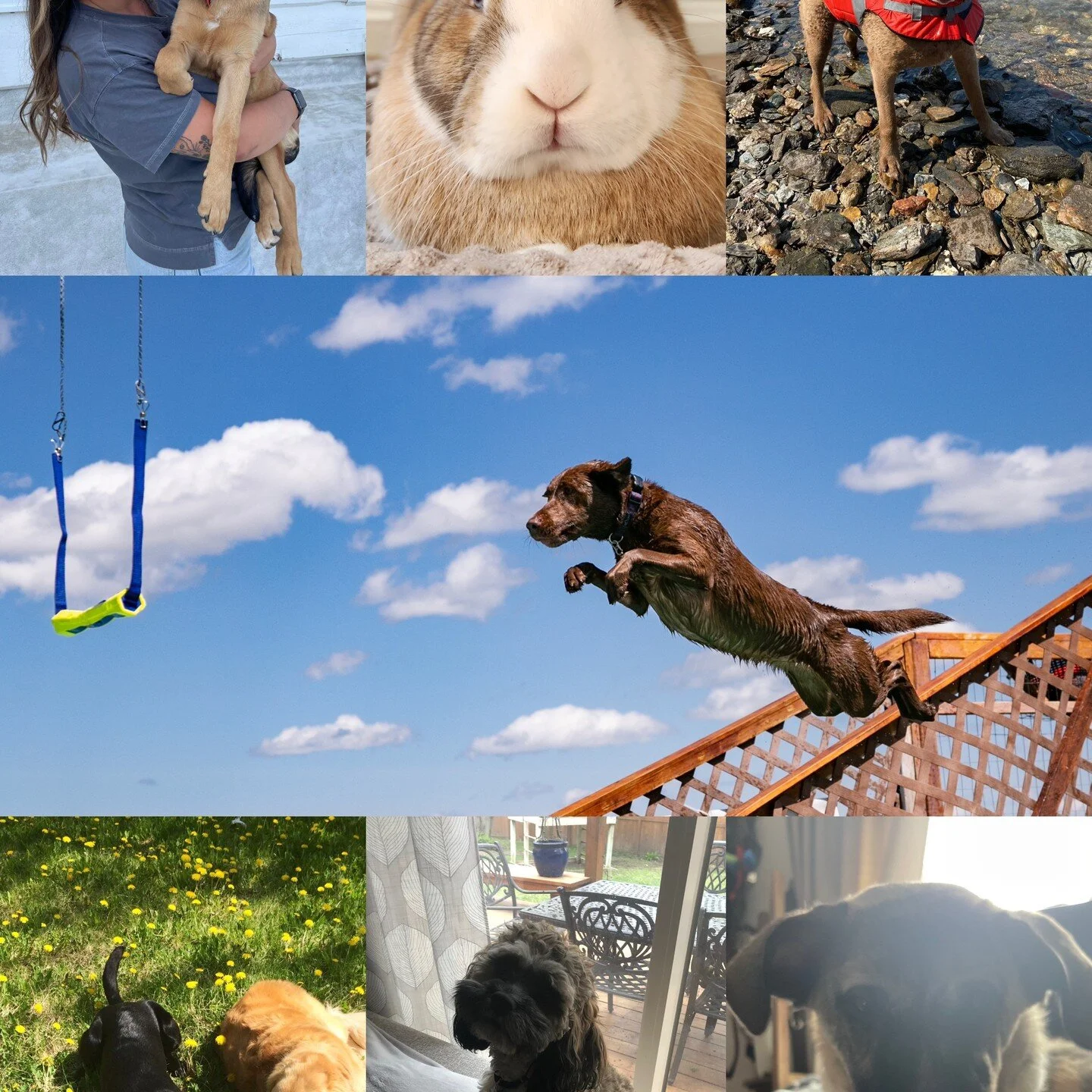 BASIN Environmental & Engineering