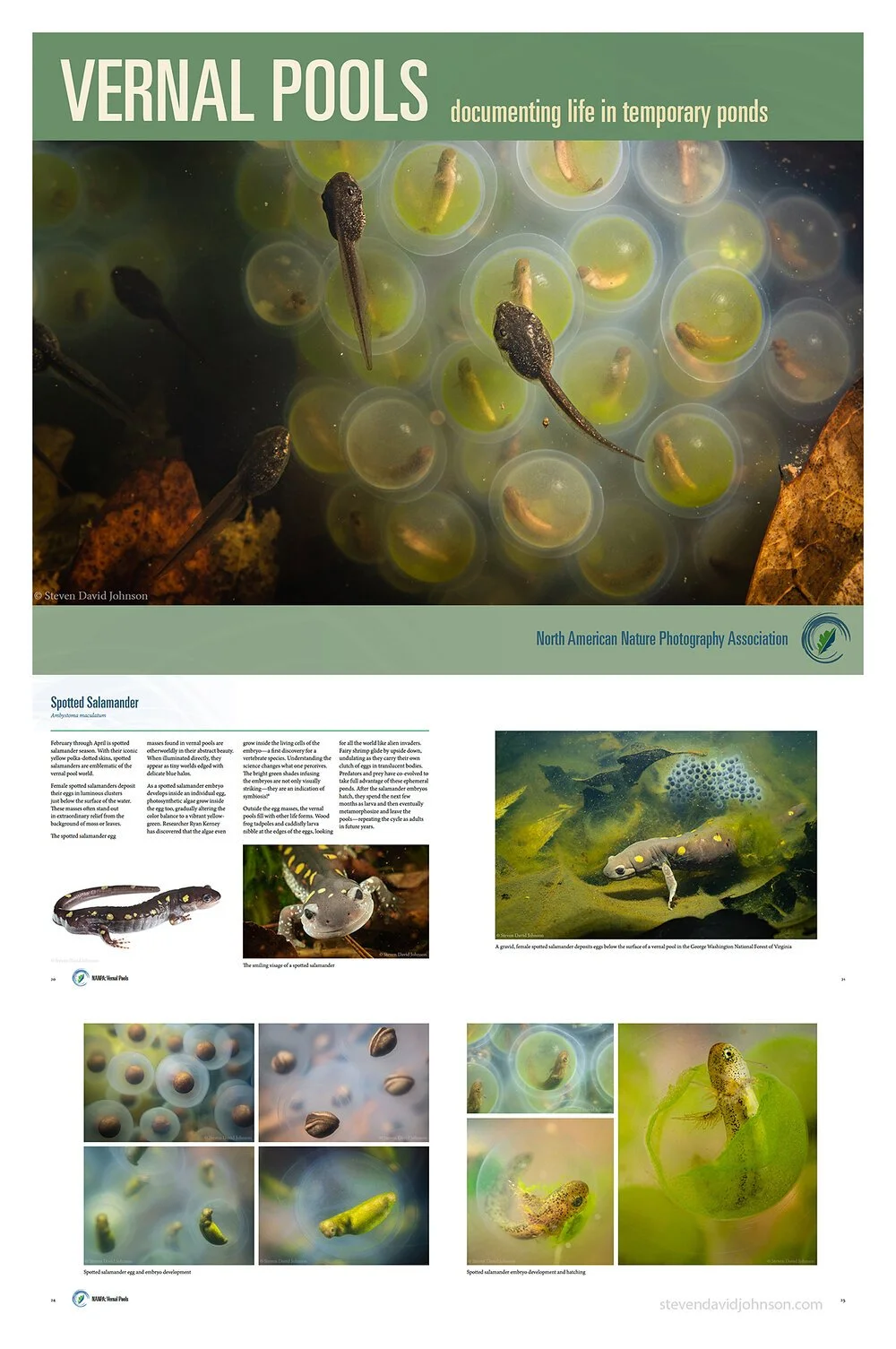 Vernal Pools Book — Steven David Johnson - Conservation Photography